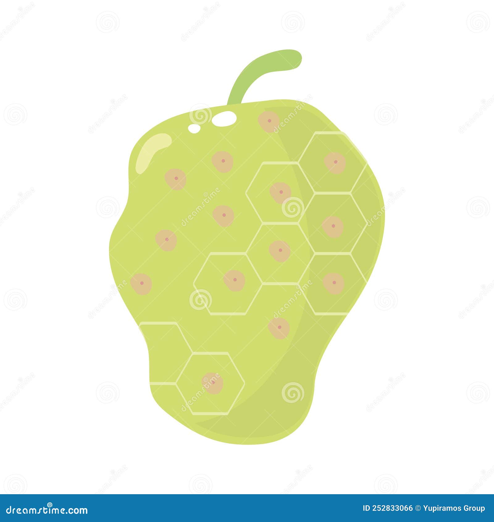 Exotic fruit noni stock vector. Illustration of icon - 252833066