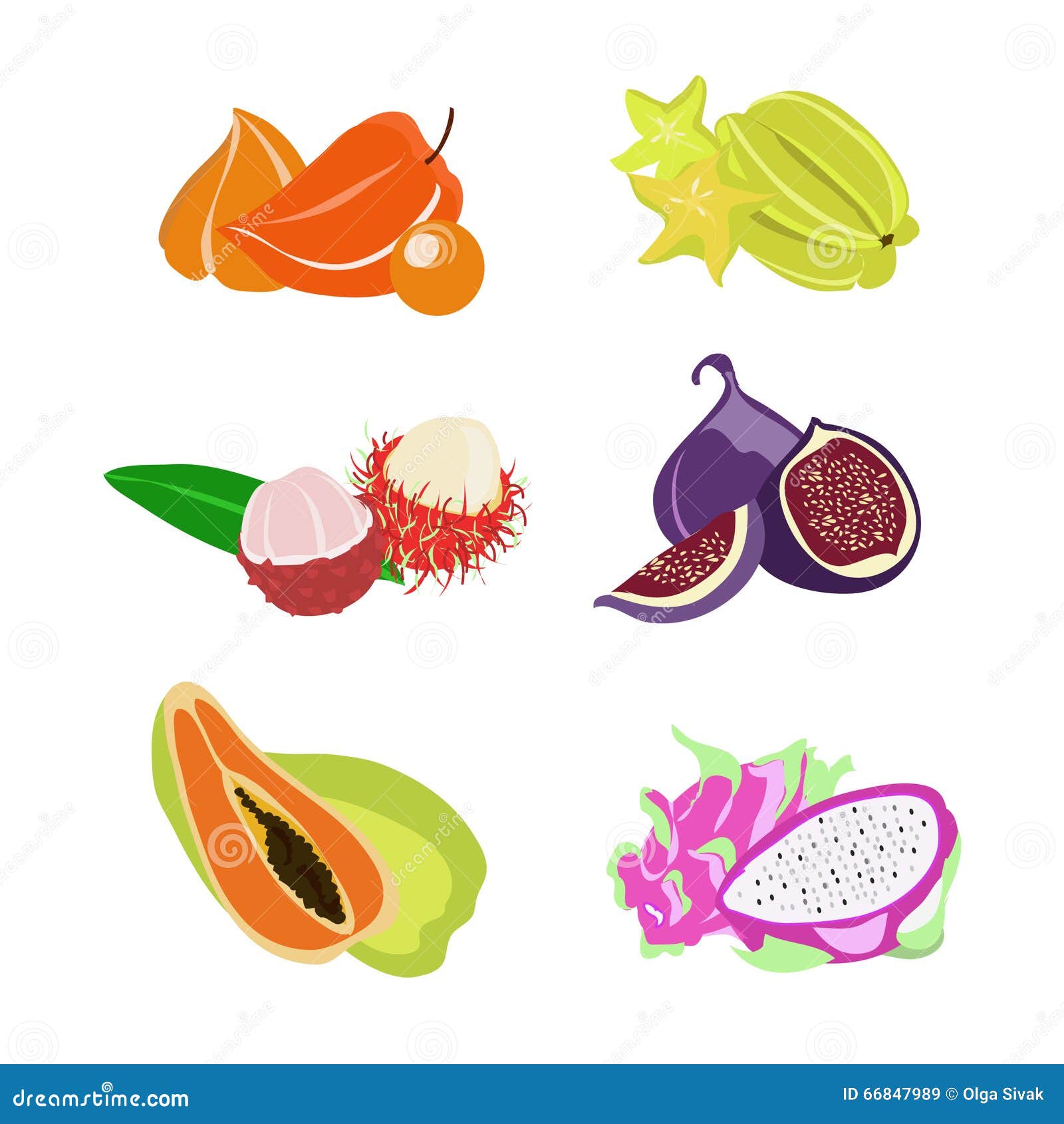 Exotic fruits stock vector. Illustration of papaya, tropic - 66847989