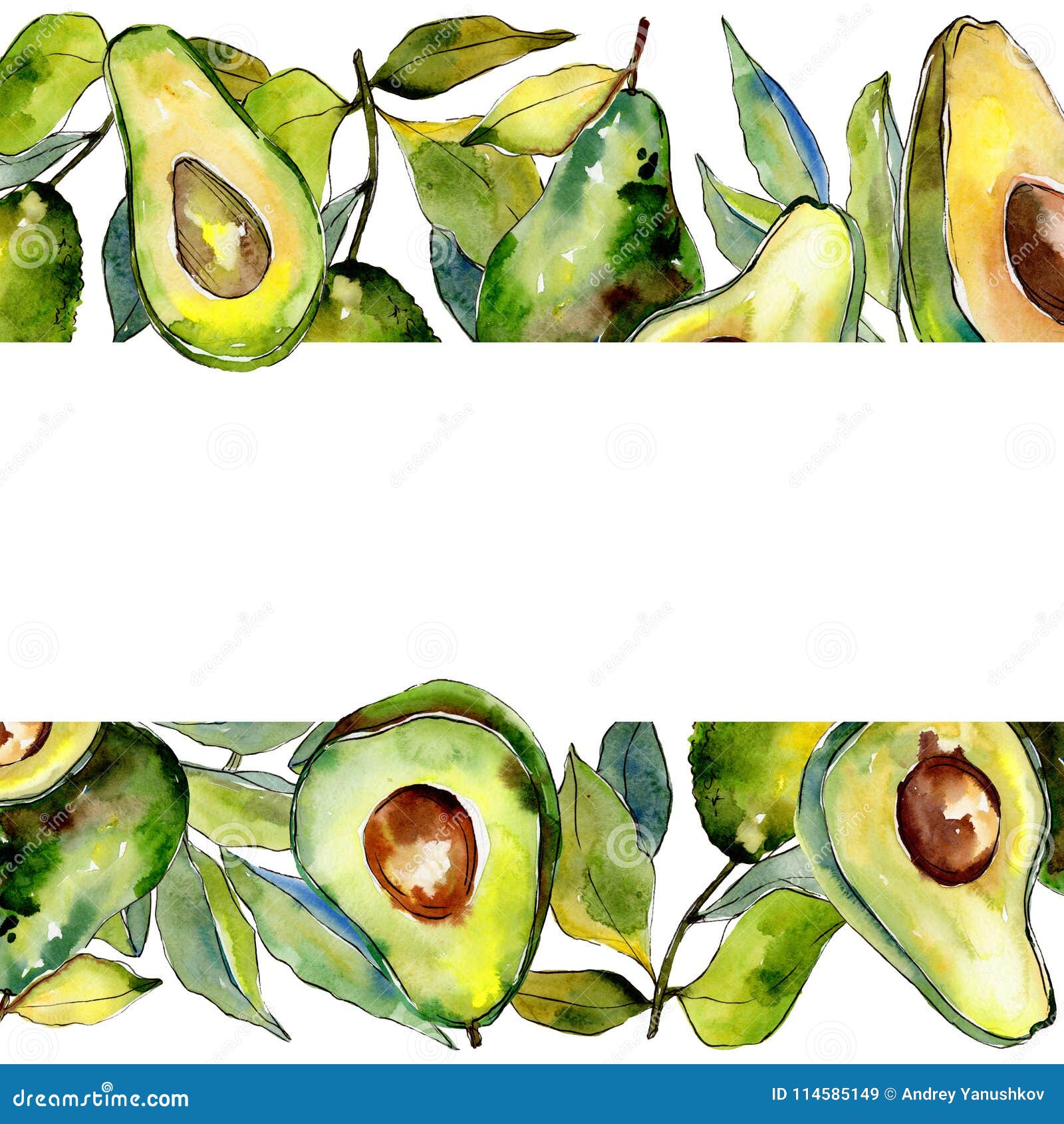 Exotic Green Avocado Wild Fruit in a Watercolor Style Frame. Stock ...