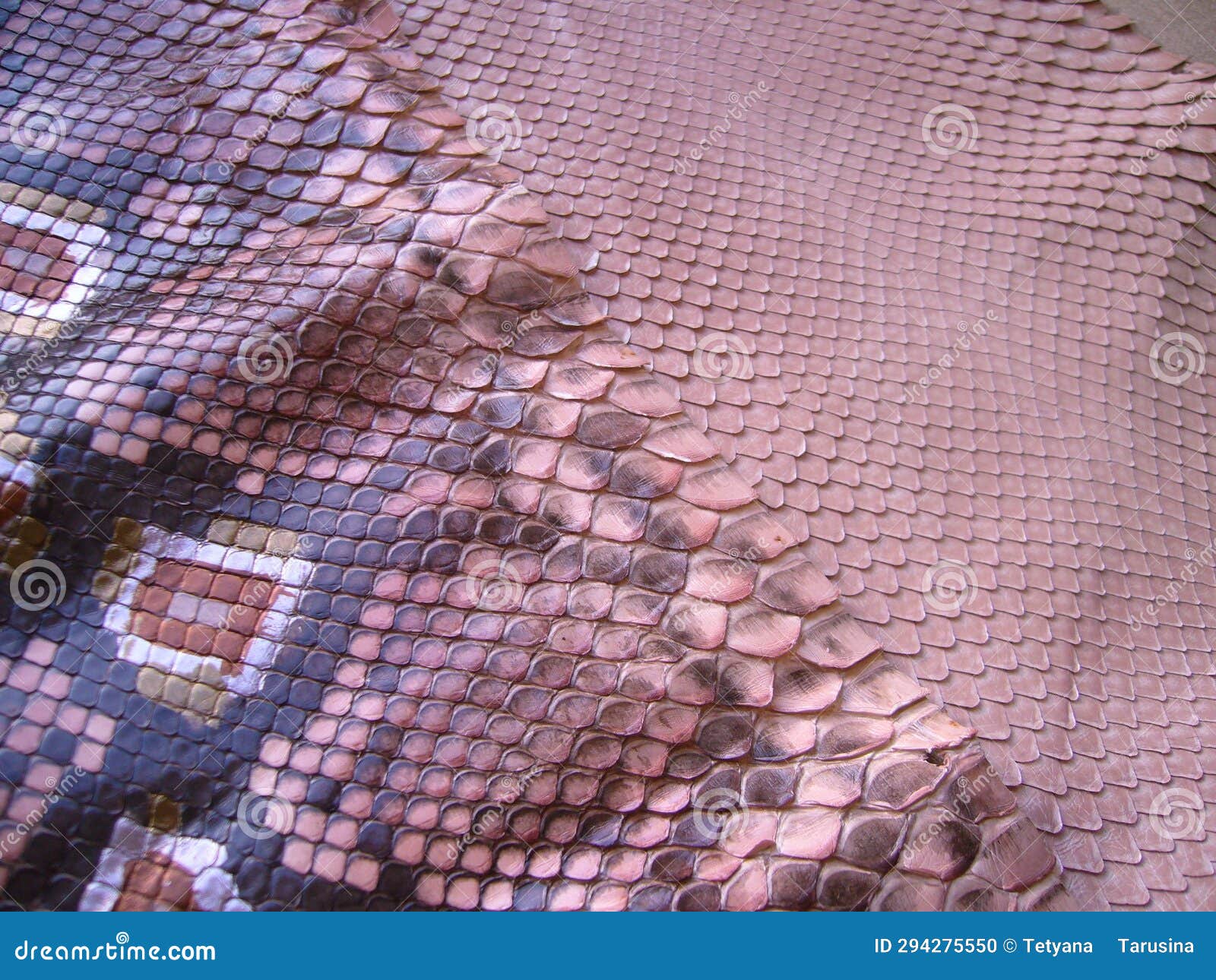 Exotic Haberdashery Leather, Python Skin, Snake Skin. Pink Leather for ...