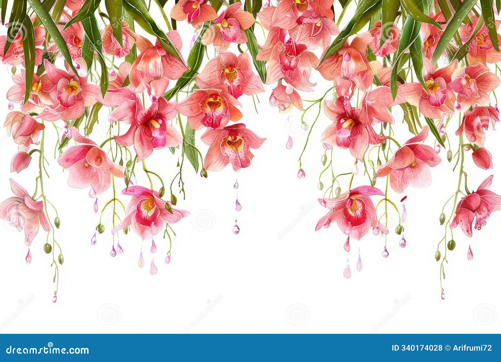 Exotic Hanging Orchids with Dew Drops Illustration on White Background ...