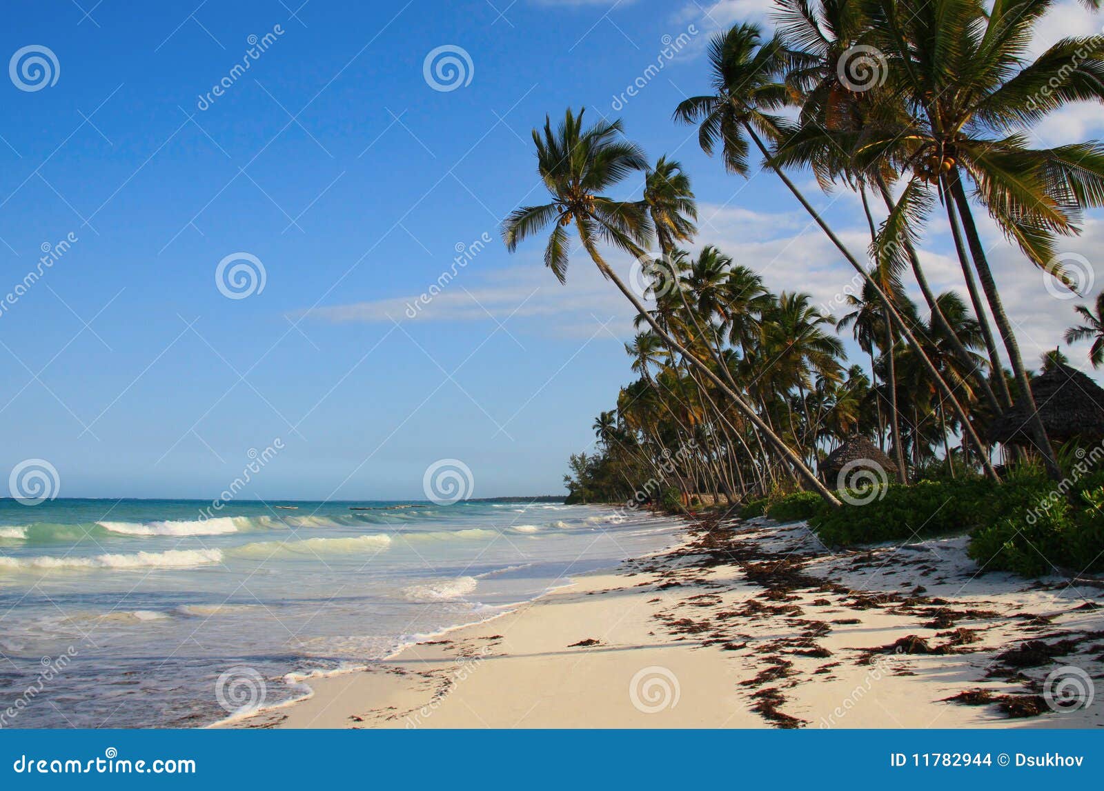 Exotic island beach stock photo. Image of coconut, spume - 11782944