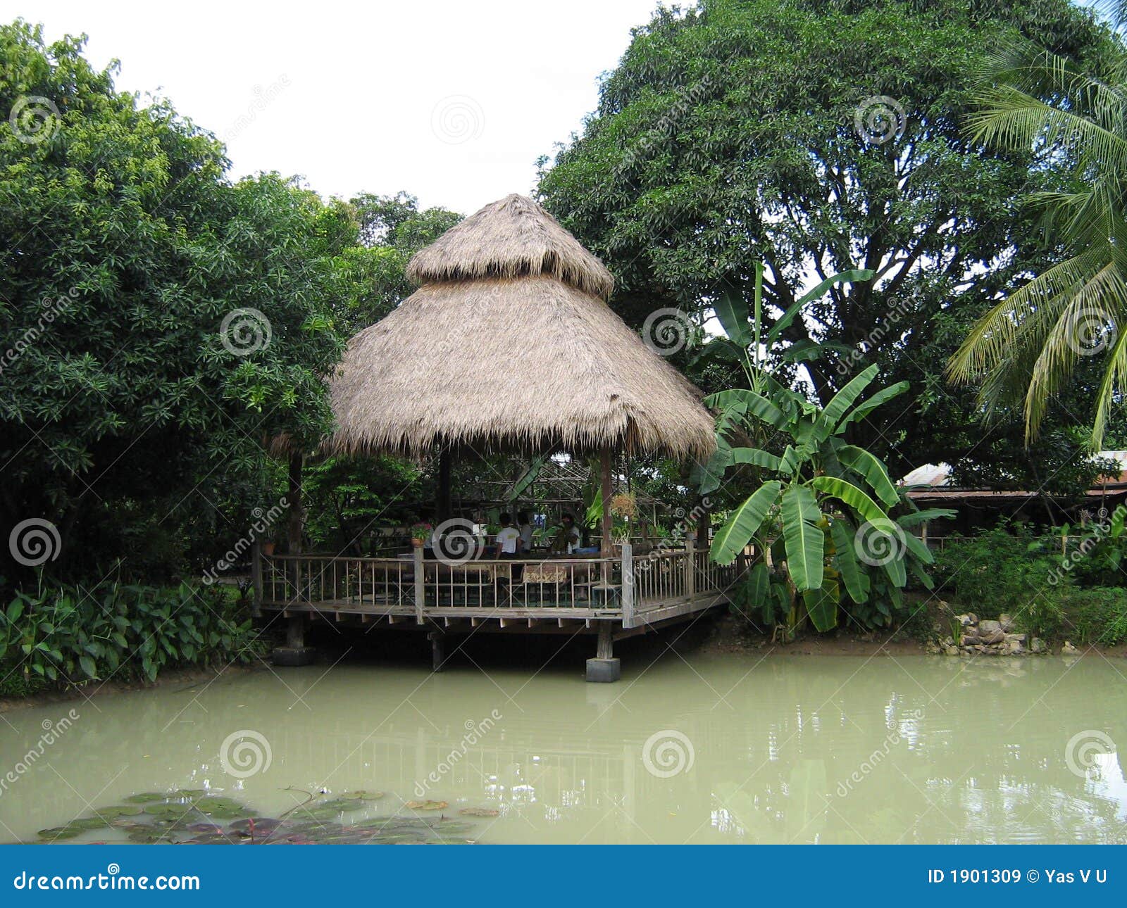 Exotic jungle hut stock image. Image of exotic, chill - 1901309
