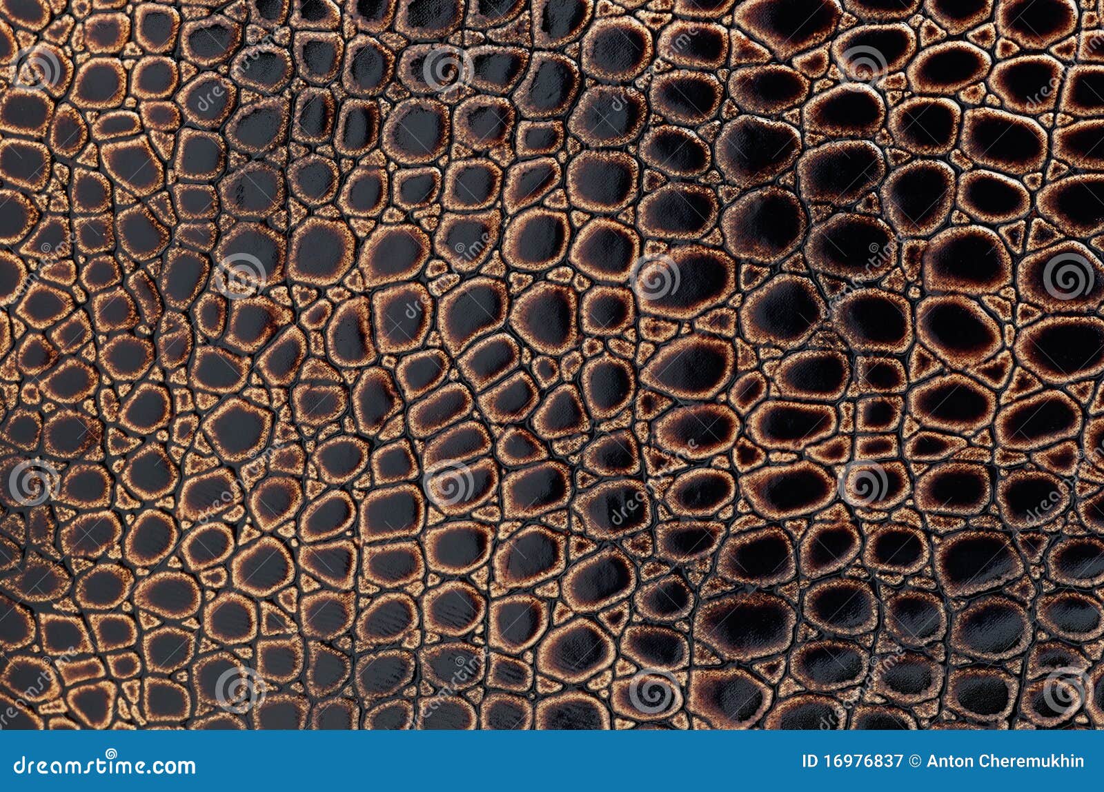 Exotic Animal Textures