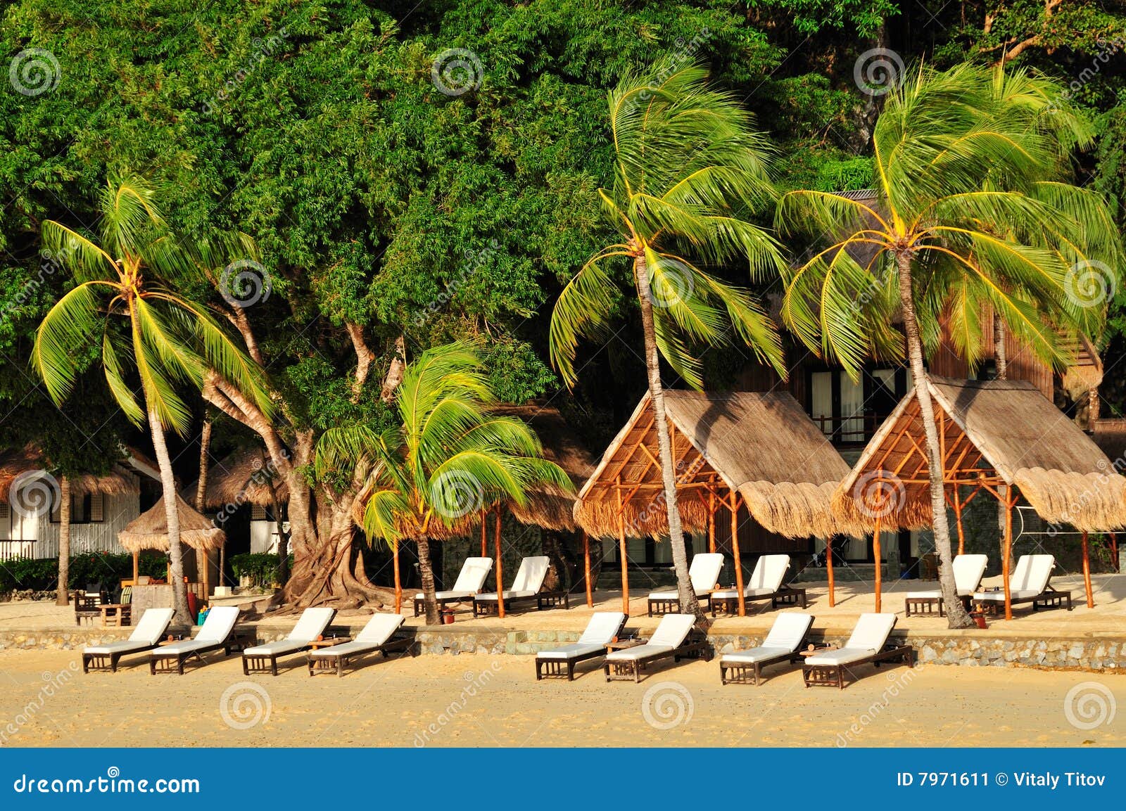 Exotic Luxury Beach stock image. Image of colorful, sunbed - 7971611