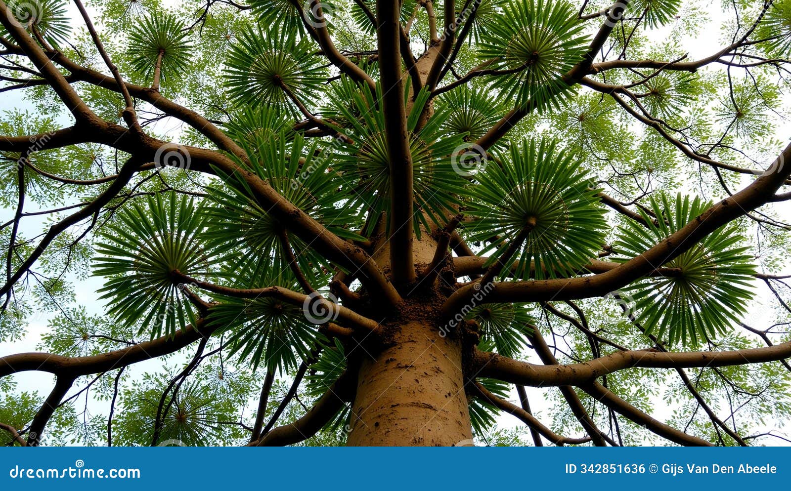 Puzzle Tree Design - Puzzle Tree Illustration For Kids Cartoon Vector ...