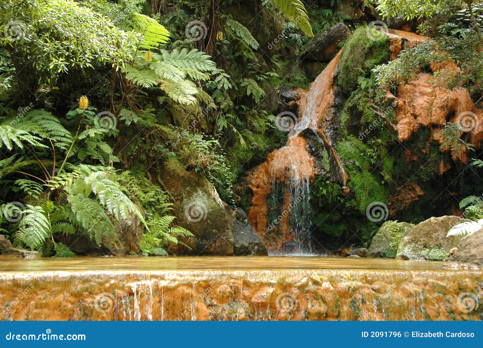 Exotic Natural Pool in the Azores Stock Photo - Image of waterfall ...
