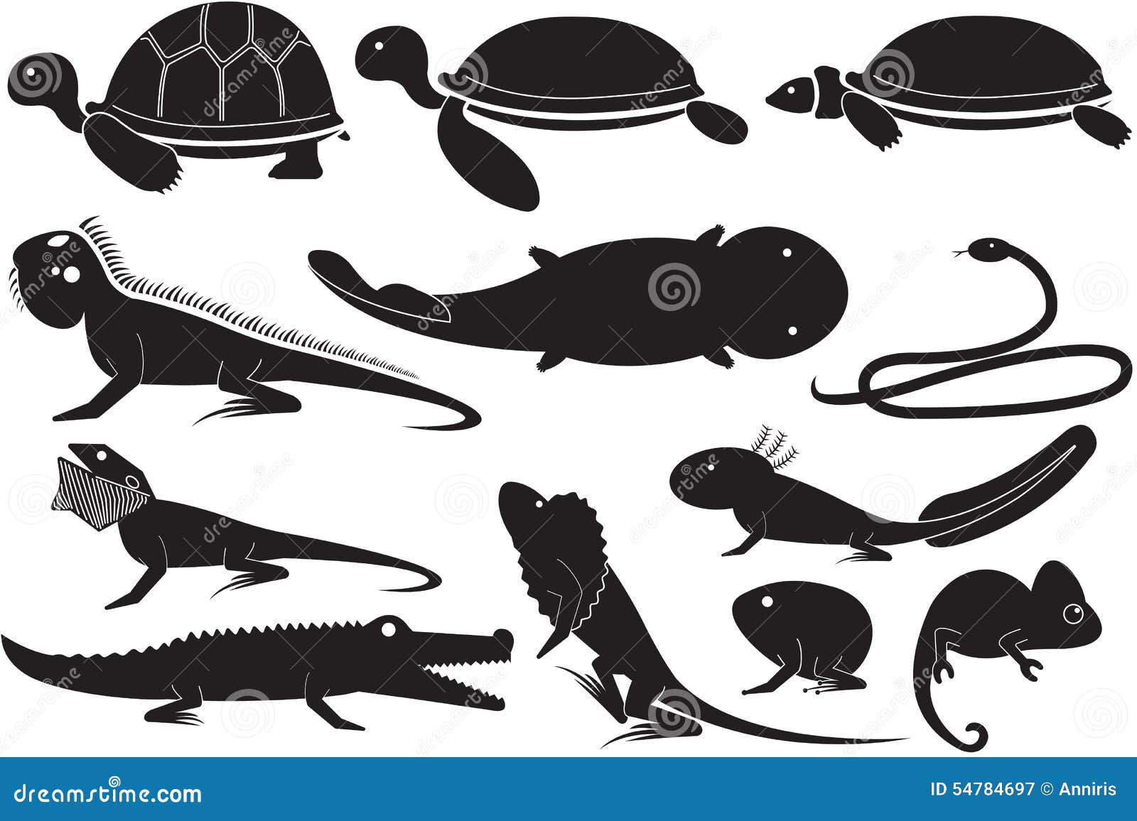 Exotic pet stock vector. Illustration of domestic, ocean - 54784697