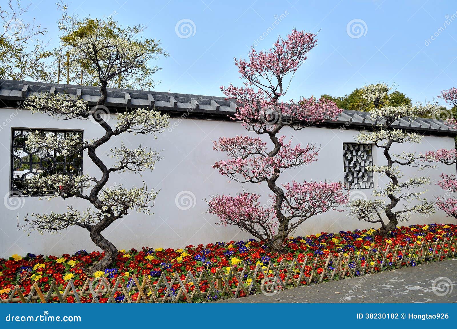 Exotic Plum and White Walls Stock Photo - Image of bees, flower: 38230182