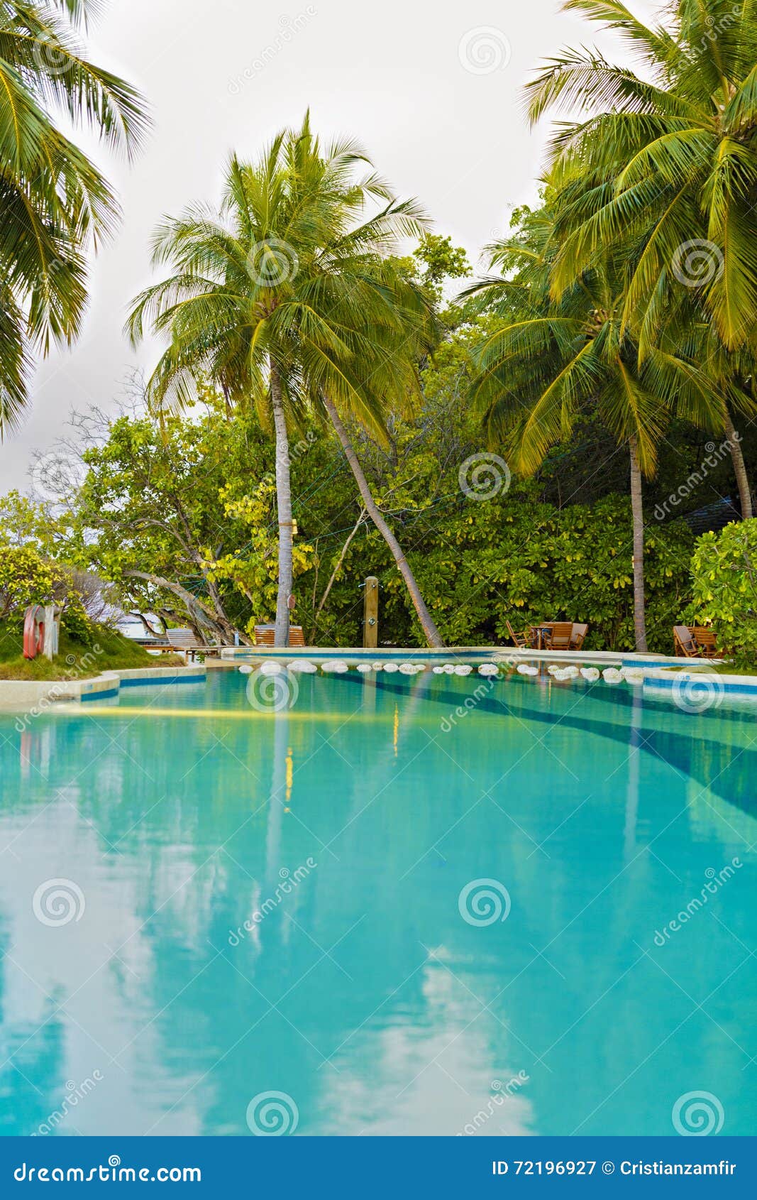 Exotic Pool with a Beautiful View Ocean Stock Image - Image of pool ...