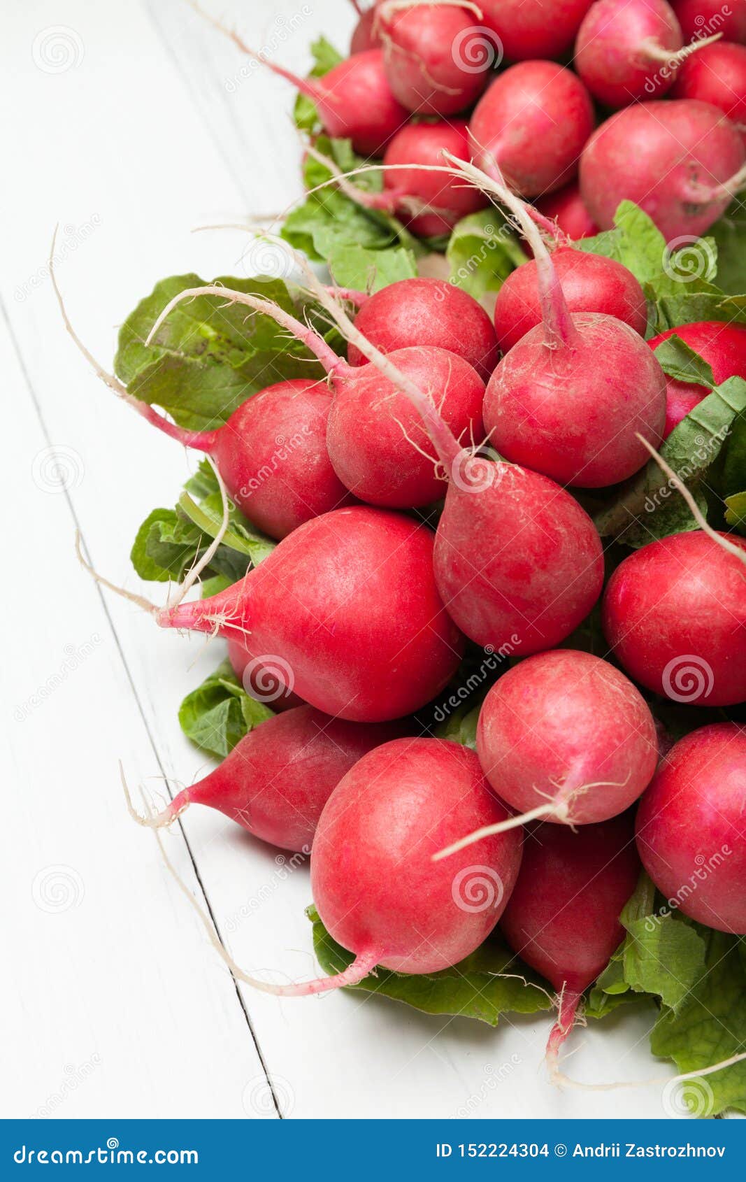 Exotic Red Radish, Red and White Vegetable Food Stock Photo - Image of ...