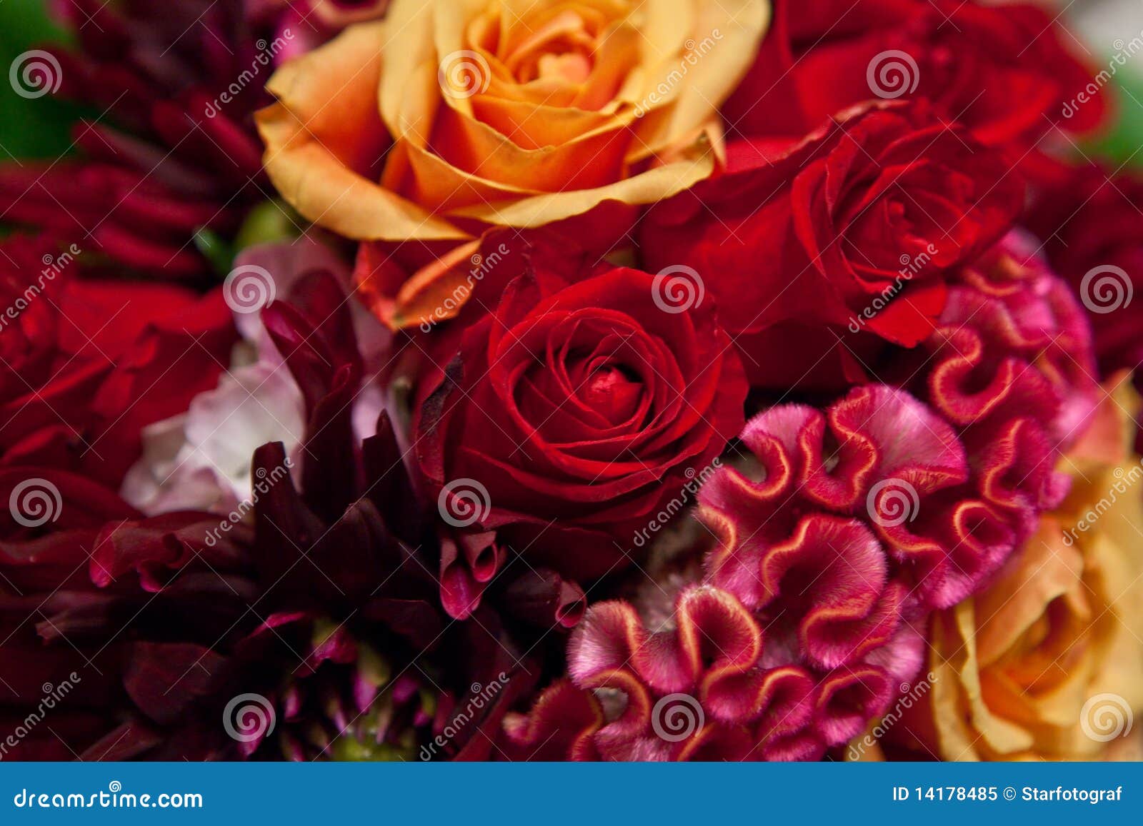 Exotic red rose bouquet stock image. Image of flowers - 14178485