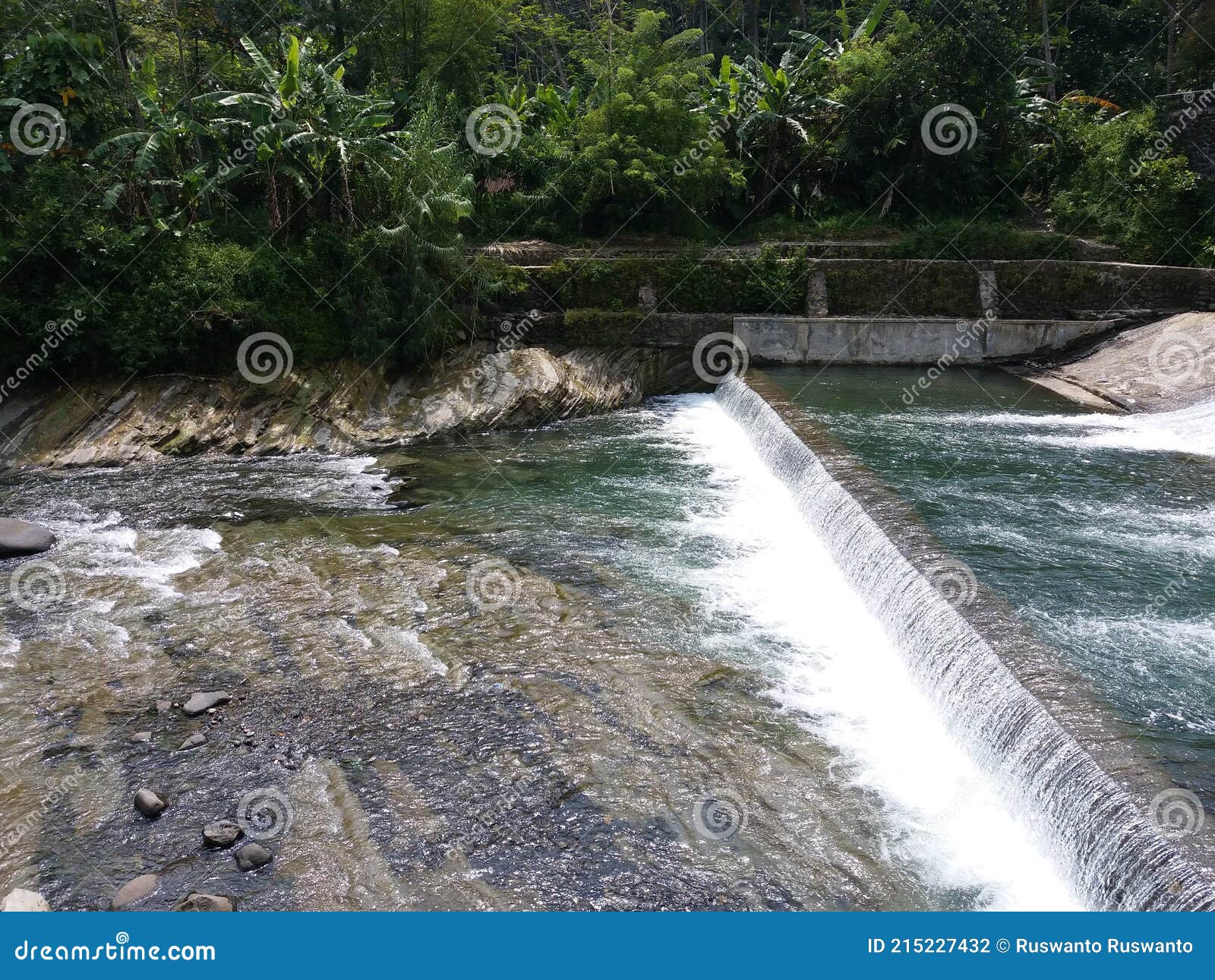 Exotic river views stock photo. Image of garden, views - 215227432