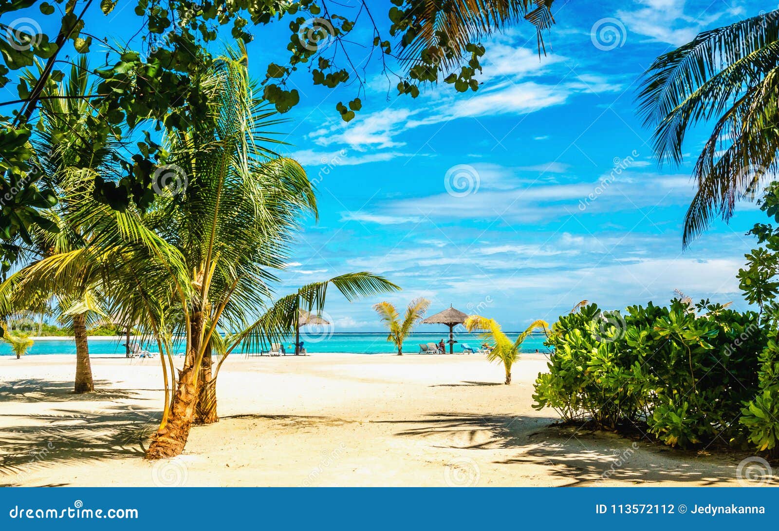 Exotic Sandy Beach with Palm Trees Stock Photo - Image of azure, island ...