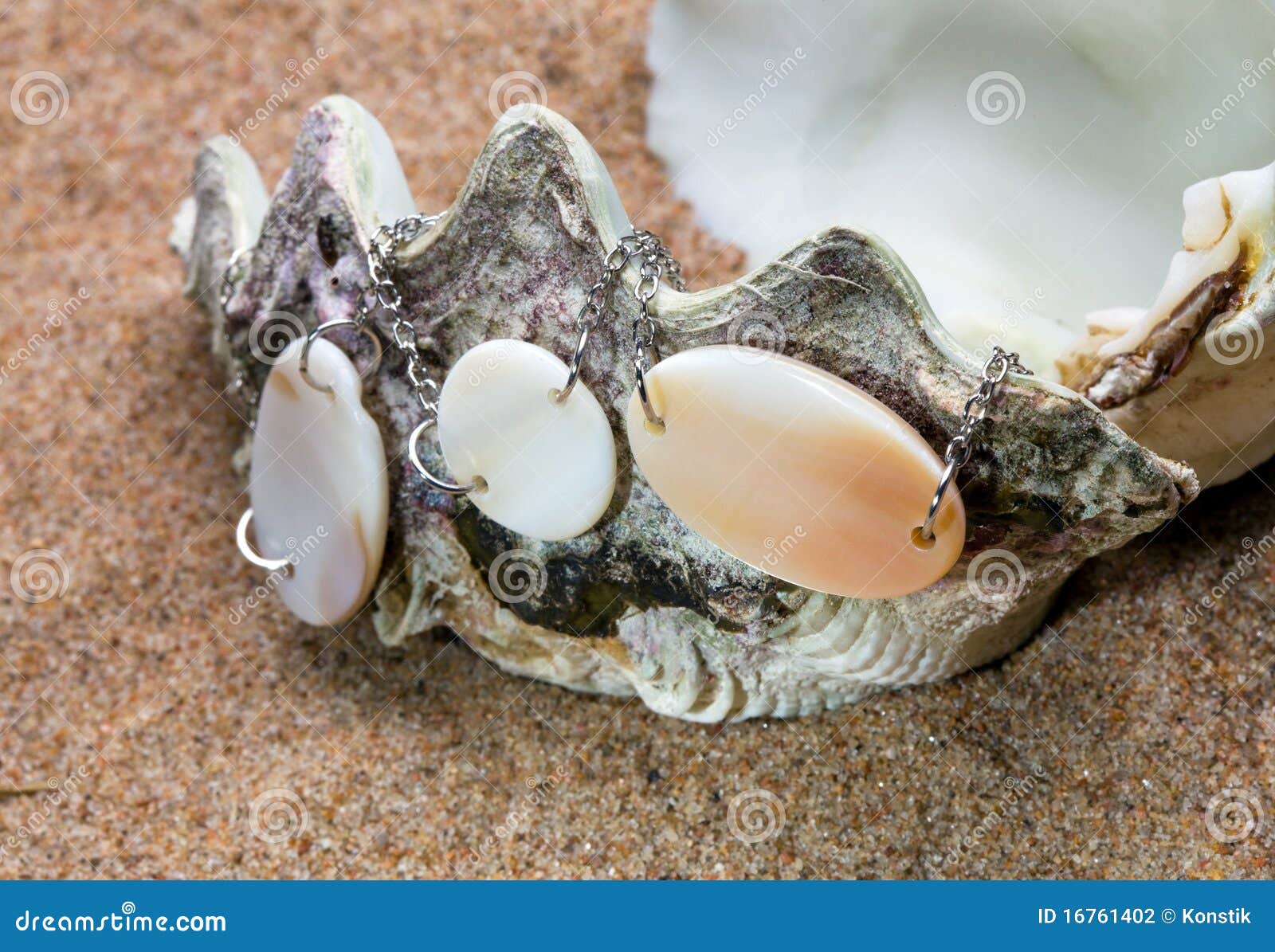 The Exotic Sea Shell with a Pearl Beads Lies on Sa Stock Photo - Image ...