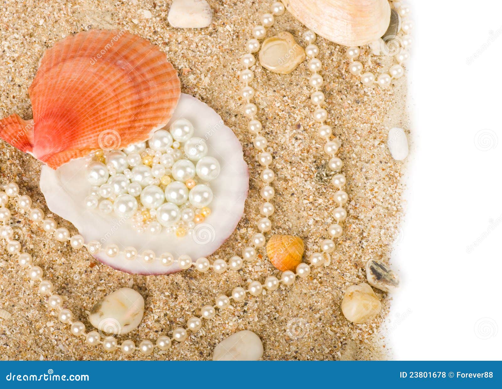 Exotic Shell and Pearls on Sand Stock Photo - Image of marine, climate ...