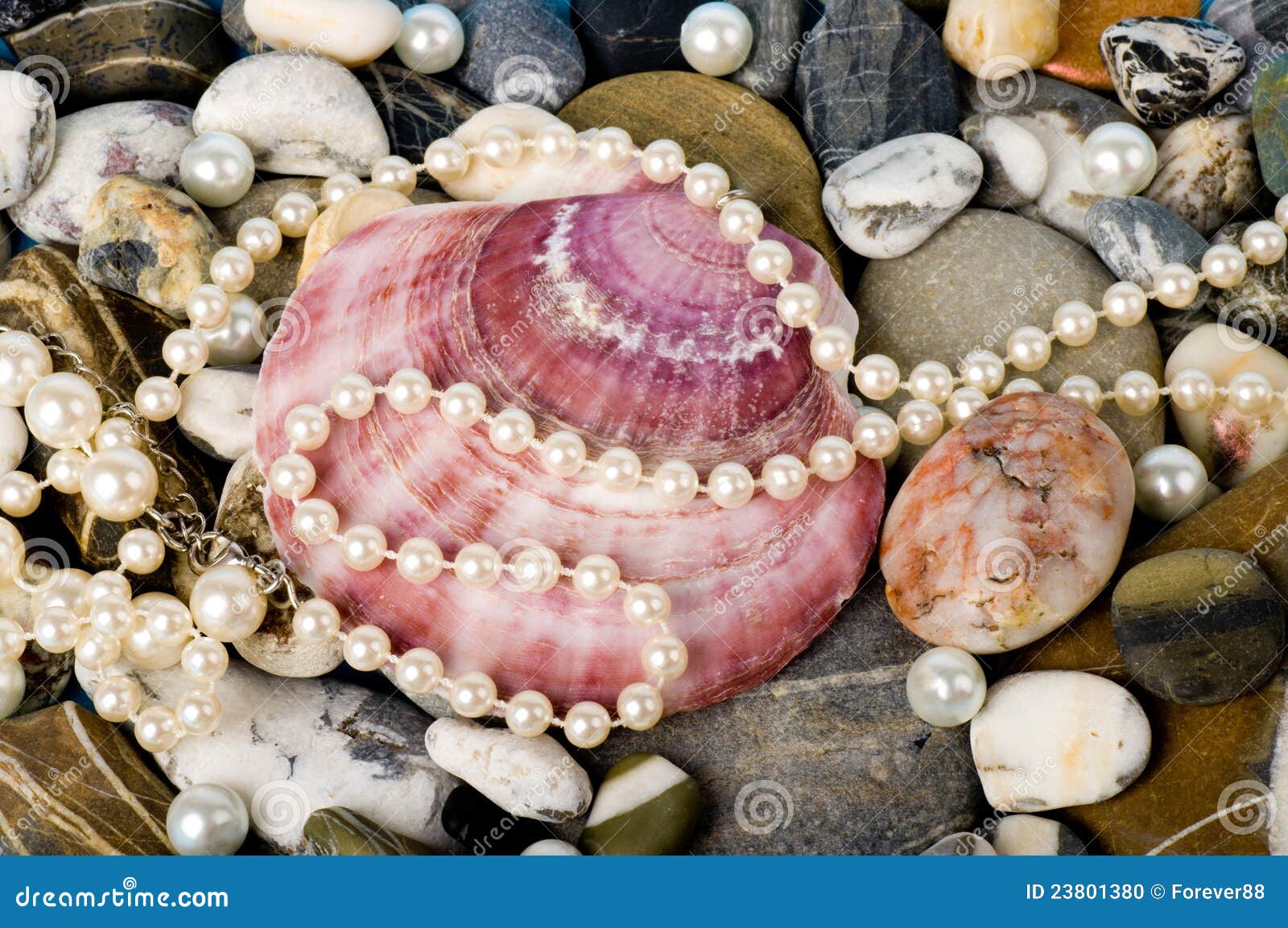 Exotic Shell and Stones, Pearls Stock Photo - Image of scallop ...