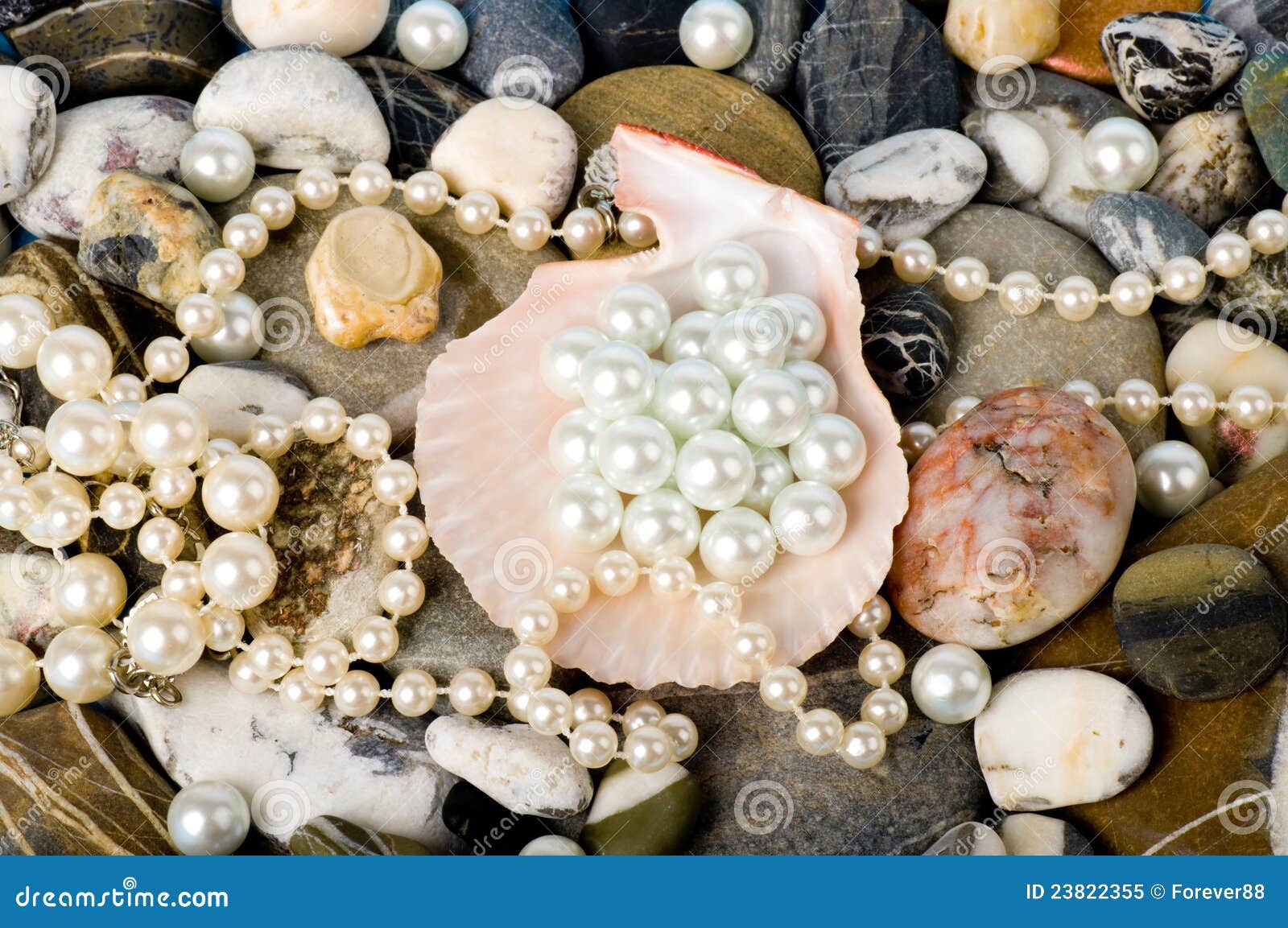 Exotic Shell and Stones, Pearls Stock Image - Image of discovery, conch ...