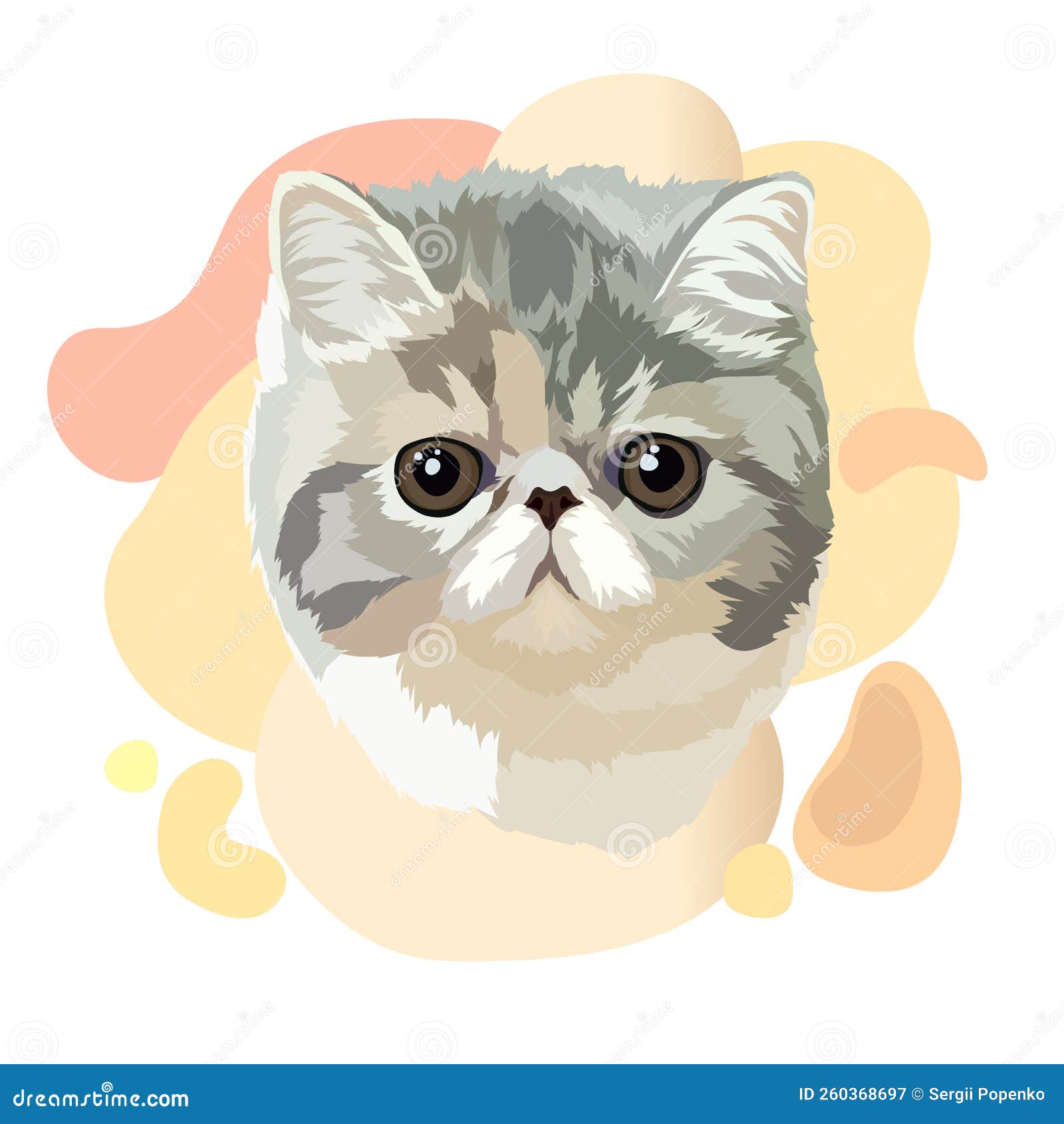 Exotic Shorthaired Cat Vector Illustration. Portrait Stock Vector ...