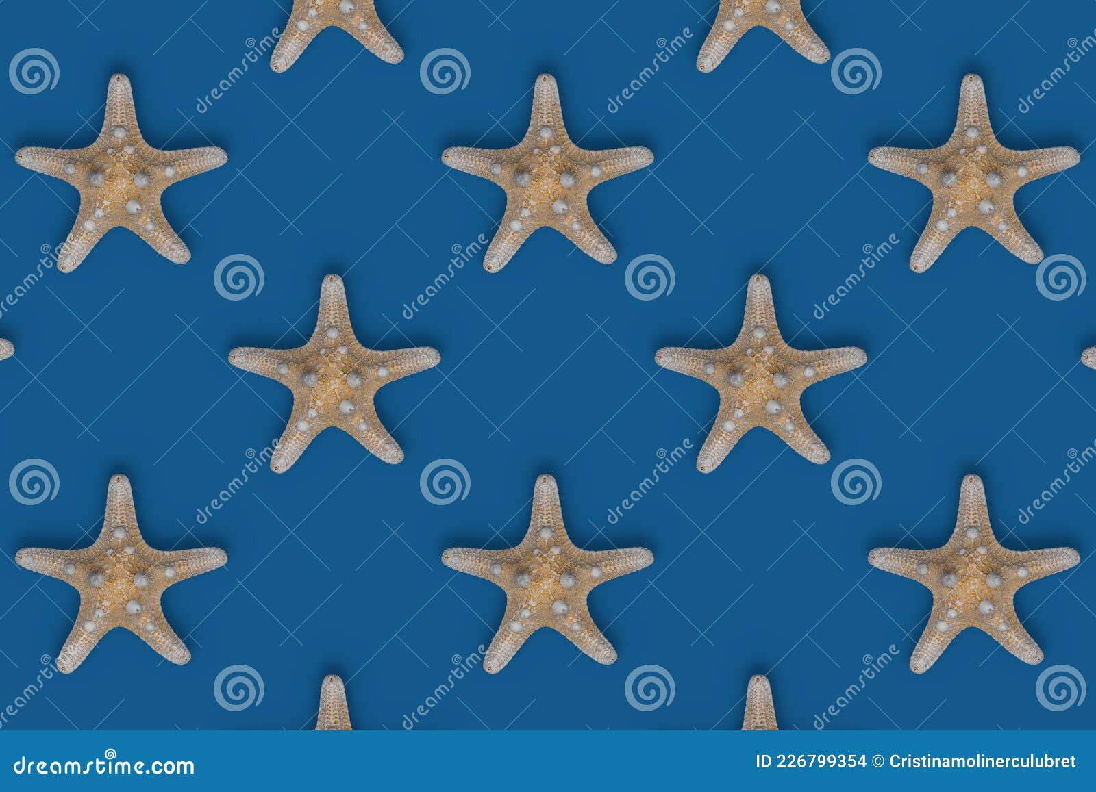 Exotic Starfish Pattern on Blue Background Stock Photo - Image of ...
