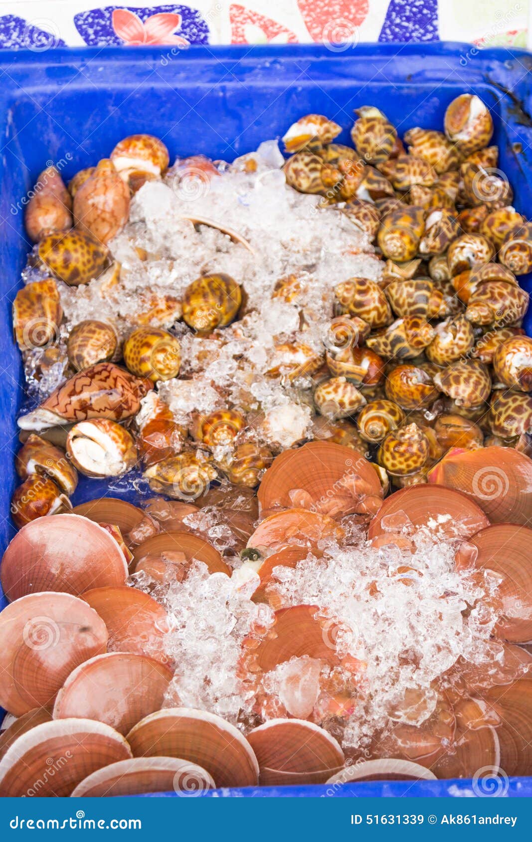 Exotic Thai seafood stock image. Image of interspersed - 51631339