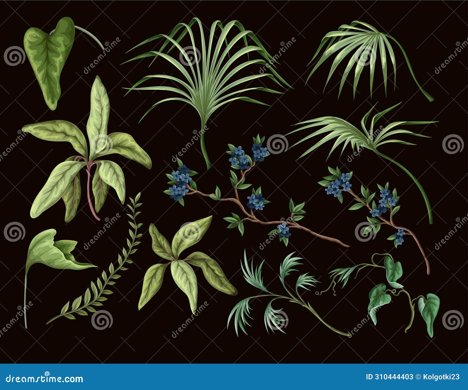 Exotic Trees, Leaves and Flowers Isolated. Vector. Stock Vector ...