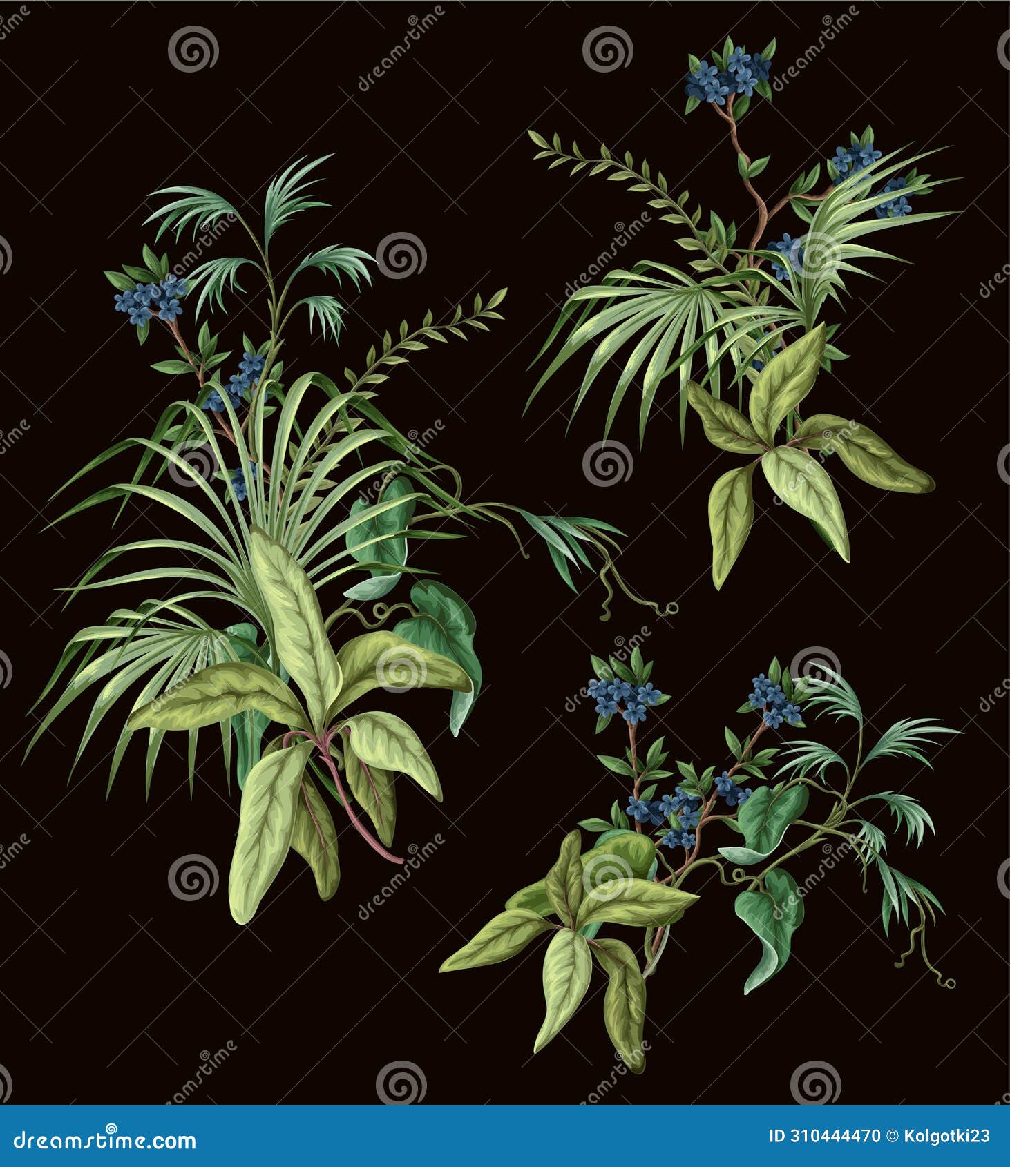 Exotic Trees, Leaves and Flowers Isolated. Vector. Stock Vector ...