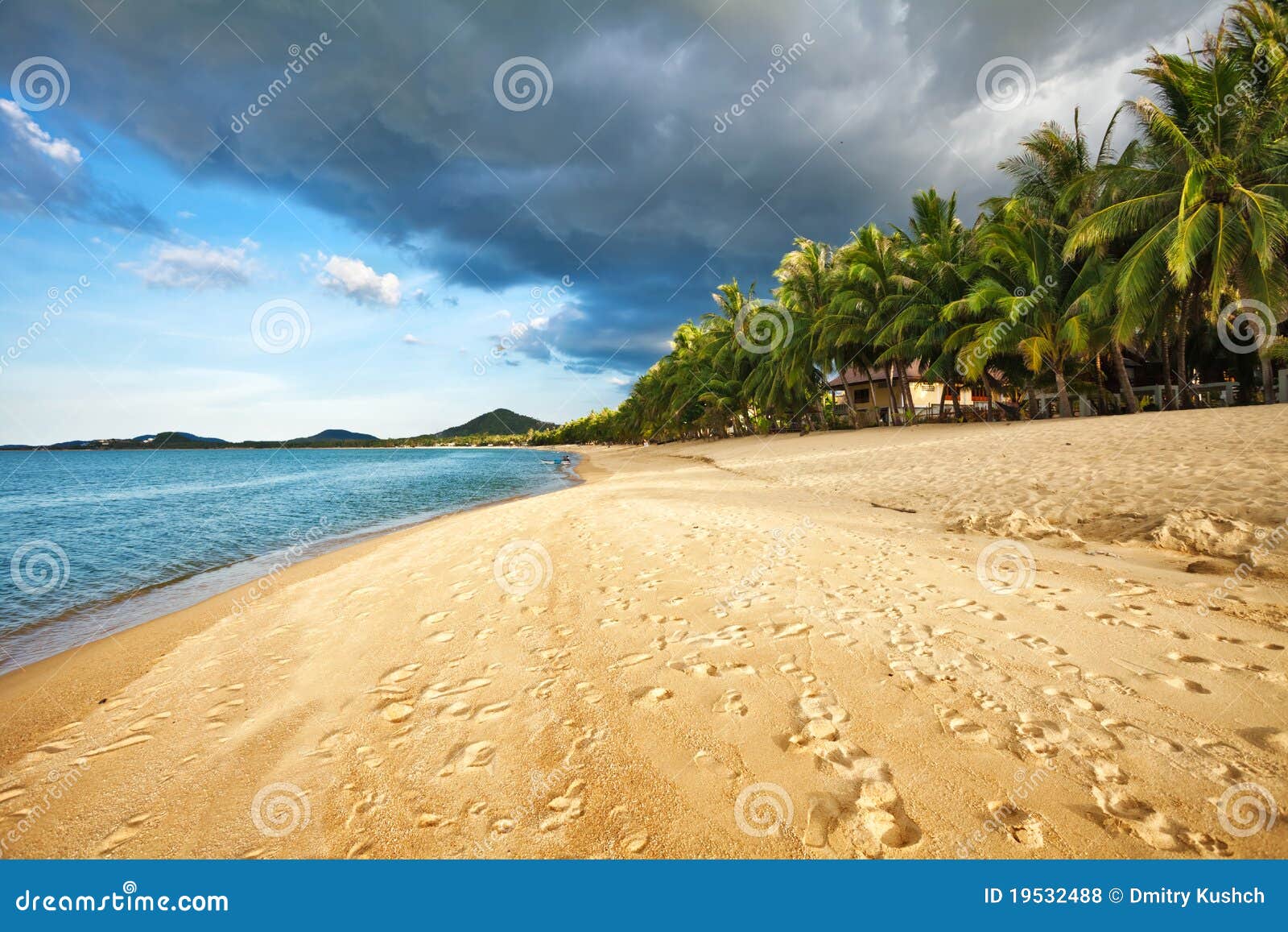Exotic tropical beach. stock photo. Image of beach, nature - 19532488