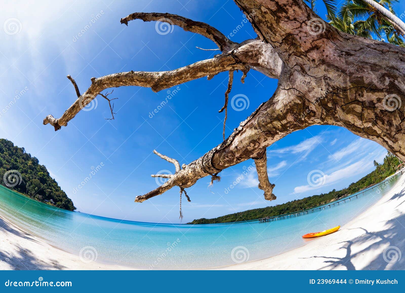 Exotic tropical beach. stock photo. Image of stone, scenery - 23969444