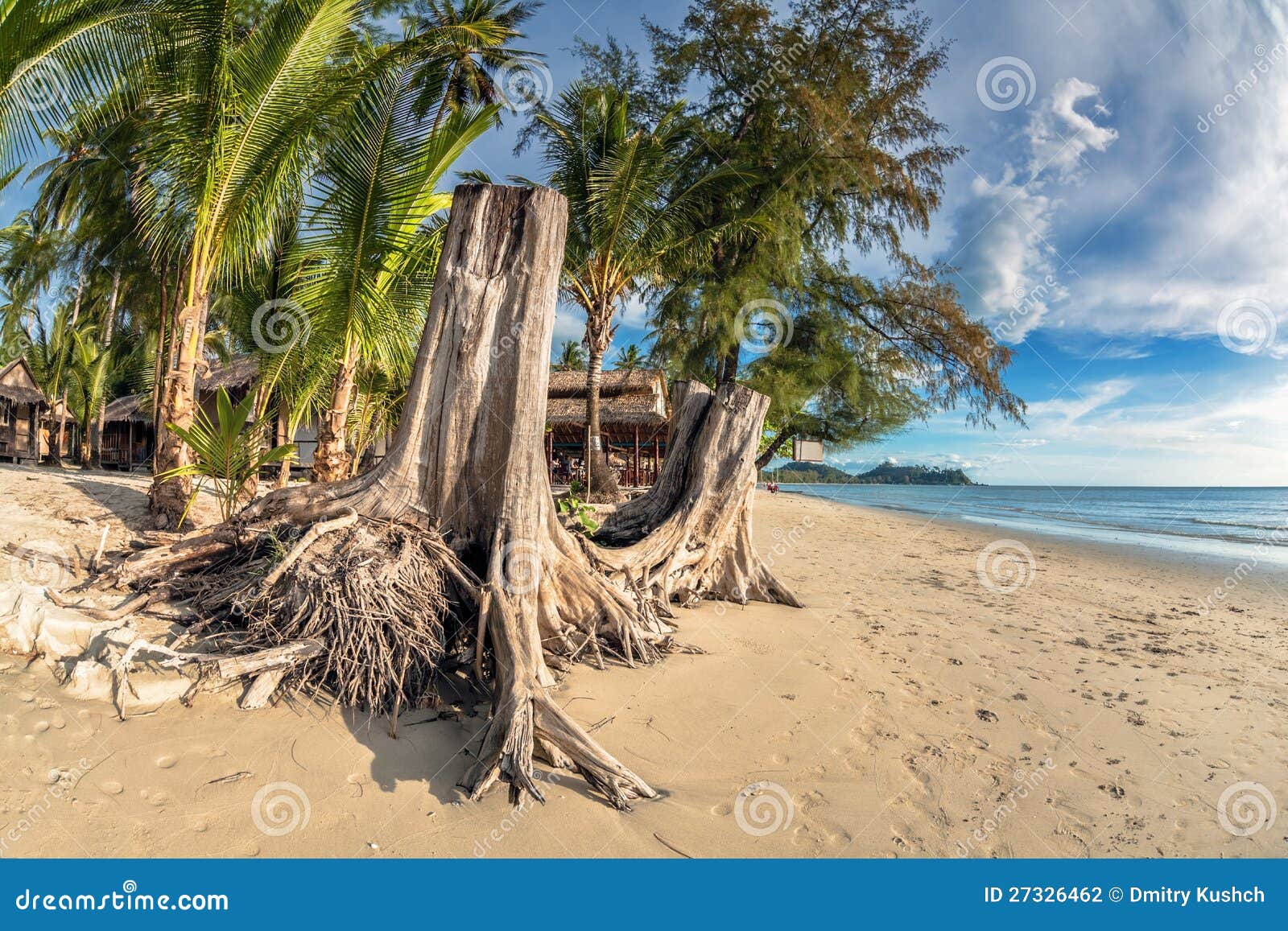 Exotic tropical beach. stock photo. Image of peace, stone - 27326462