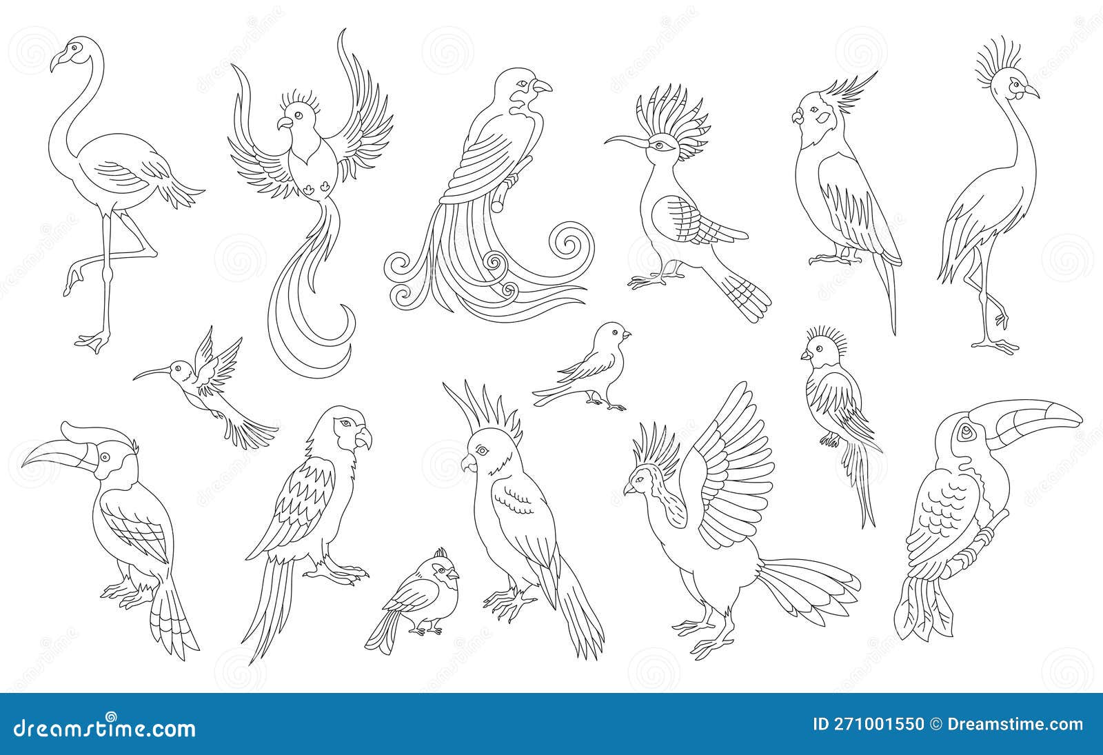 Exotic Tropical Birds Set. Editable Line Thickness Outline Stroke ...