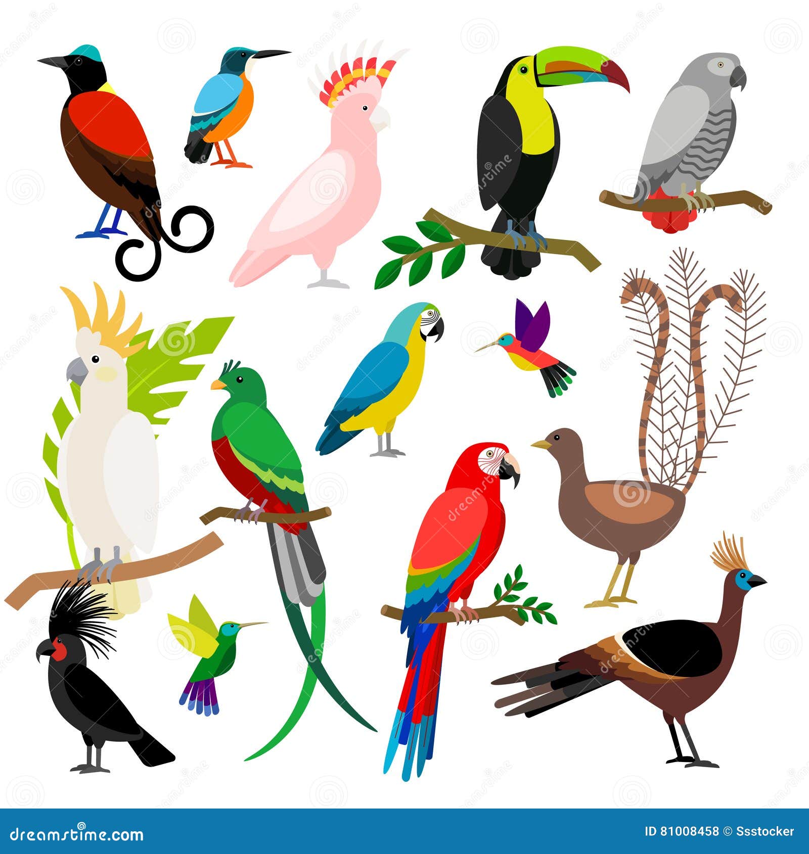 Exotic tropical birds set stock vector. Illustration of parrot - 81008458