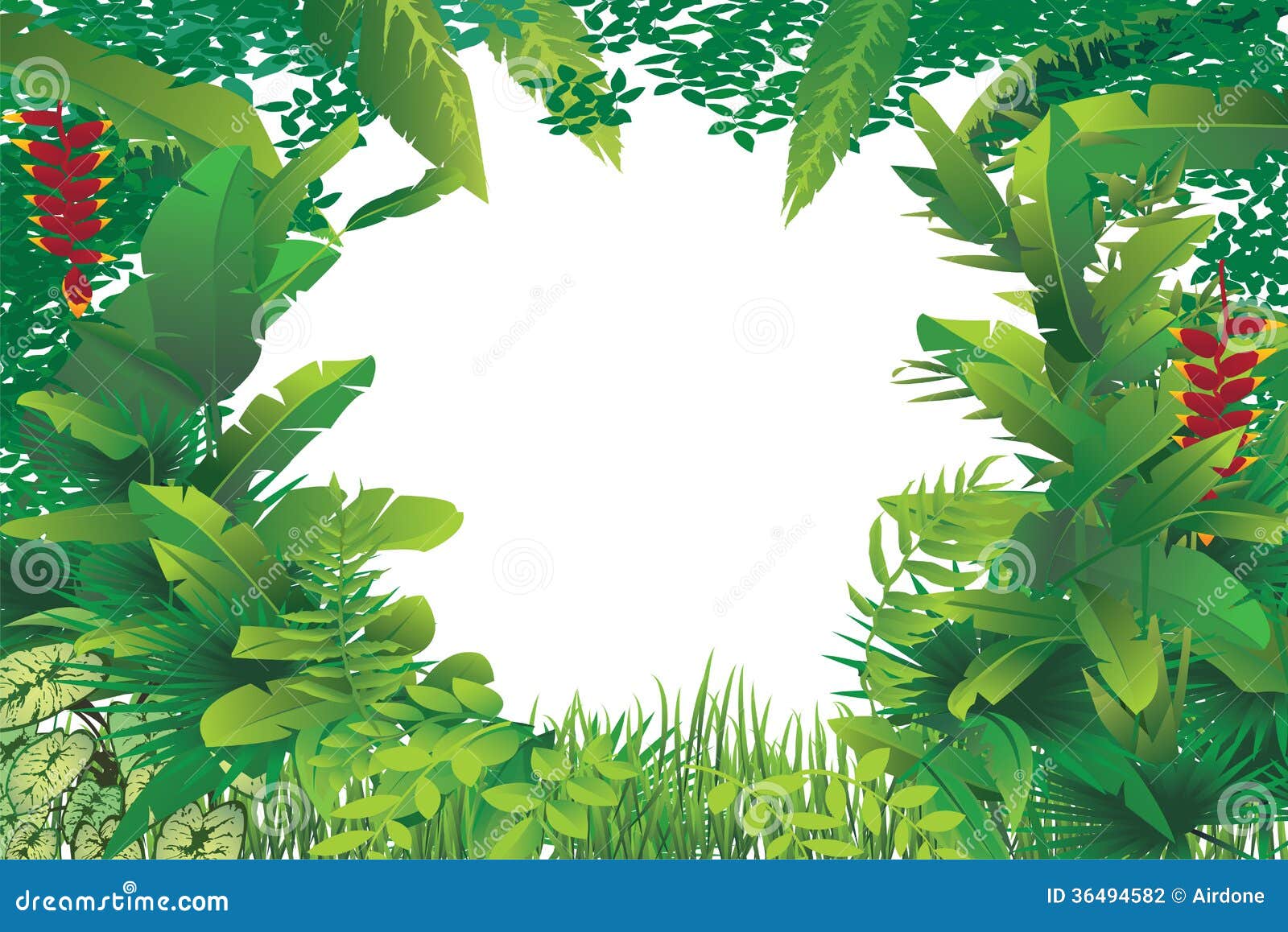 Exotic tropical forest stock vector. Illustration of amazon - 36494582