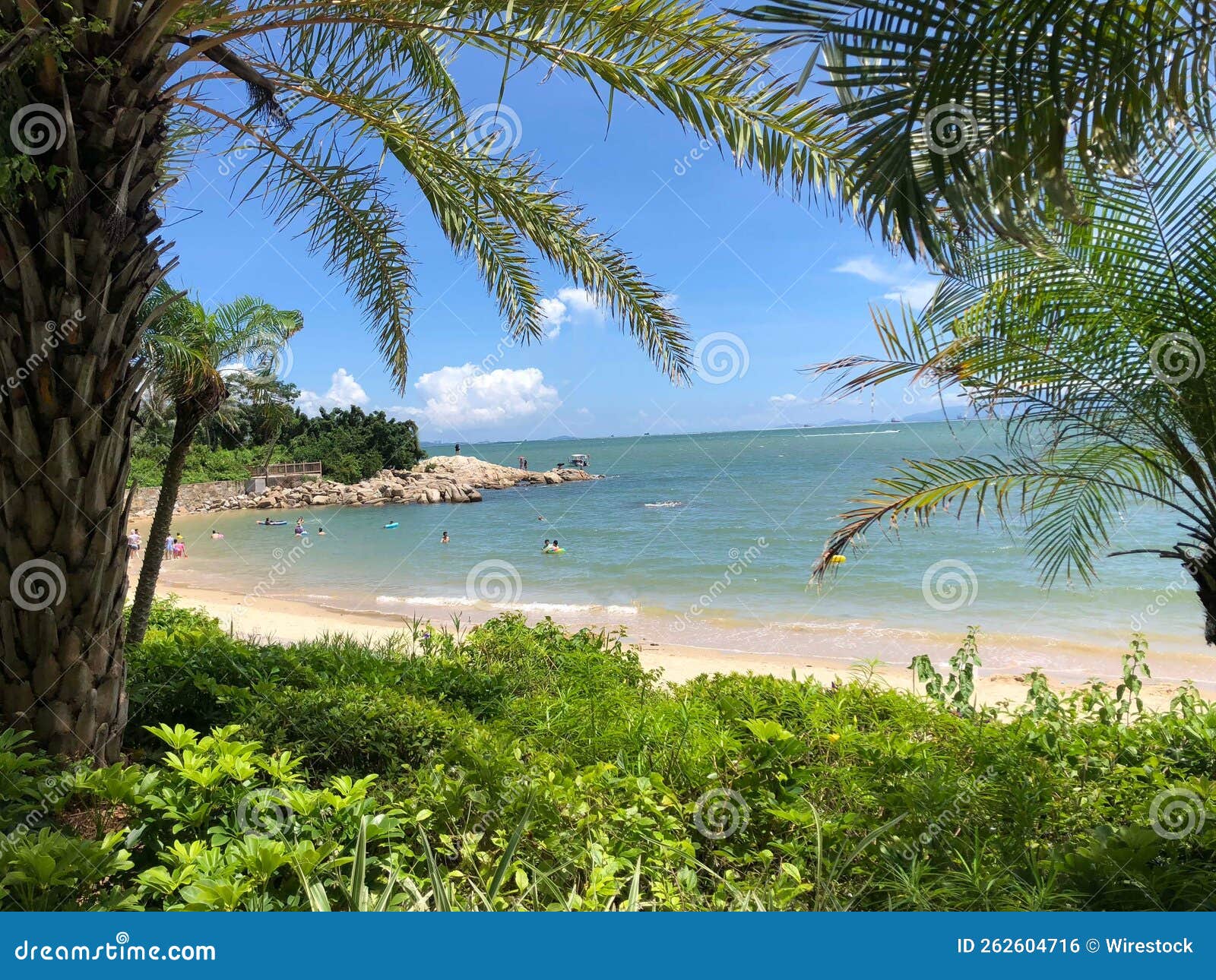 Exotic Tropical Scenery of a Beach with Palm Trees and Greenery Stock ...
