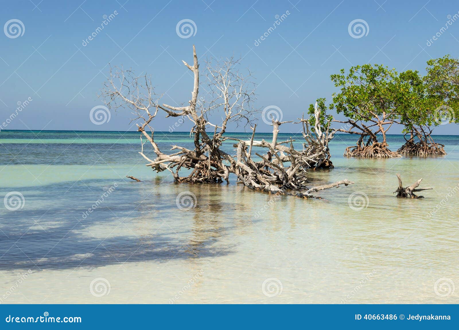 Exotic view of beach stock photo. Image of tropical, landscape - 40663486