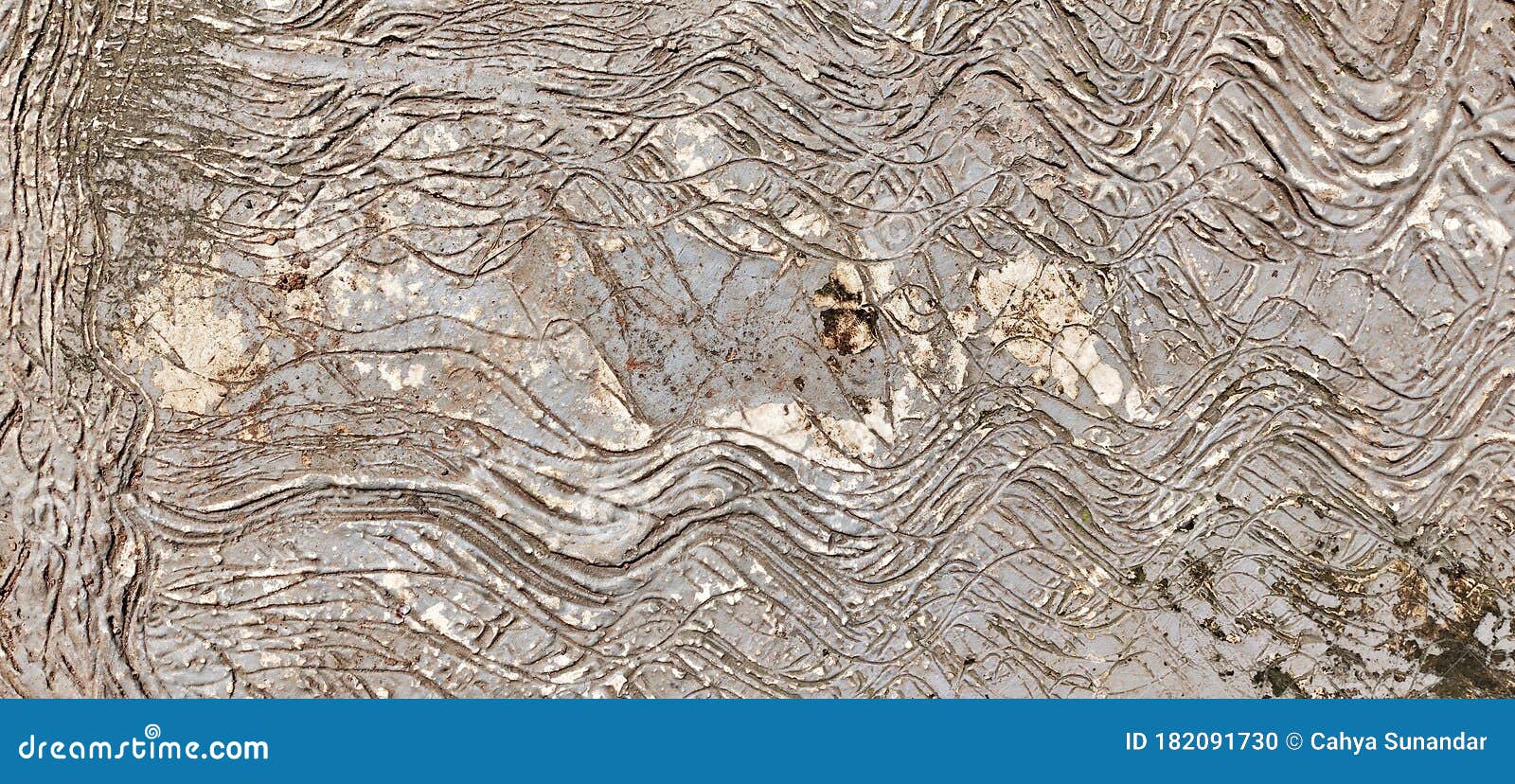 Exotic wall cement texture stock photo. Image of trunk - 182091730