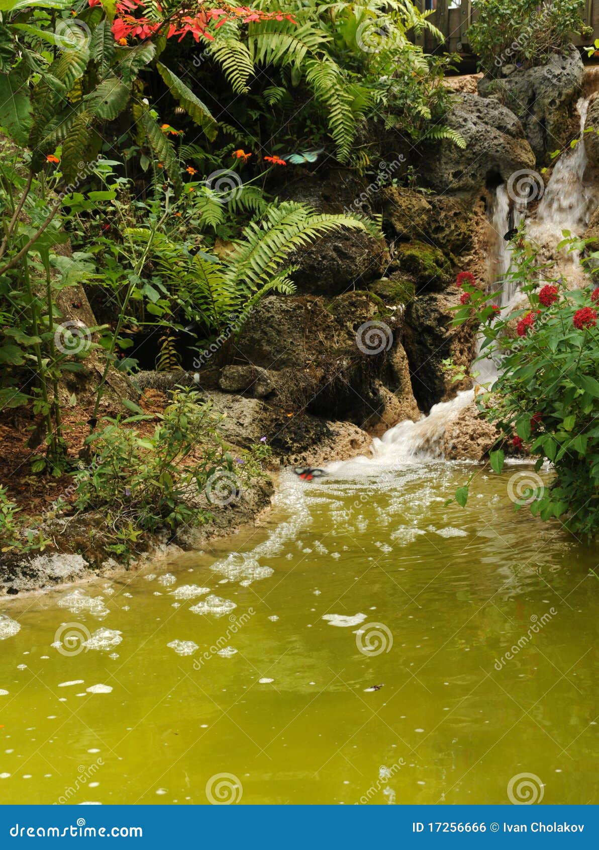 Exotic waterfall and swamp stock photo. Image of swamp - 17256666