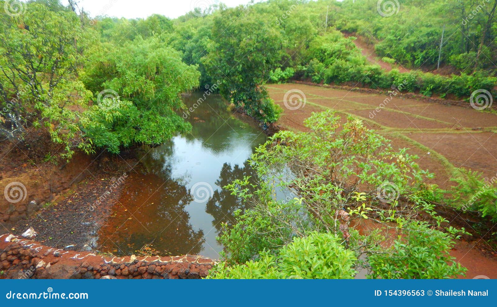 Exotic Wet Fields and Meadows-2 Stock Image - Image of green, rustic ...