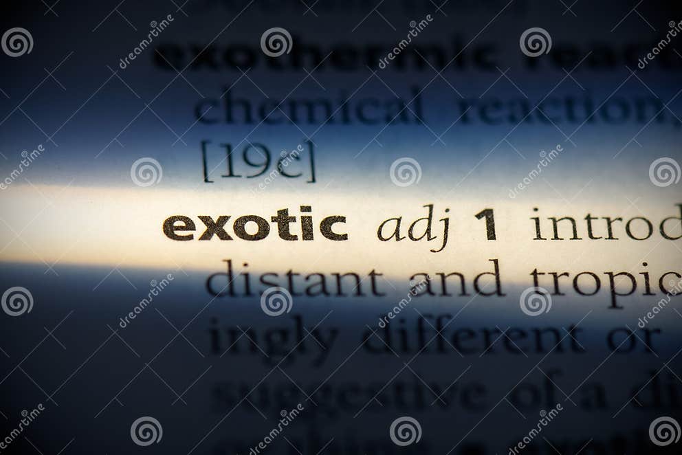 Exotic stock image. Image of english, highlight, thesaurus - 161578995