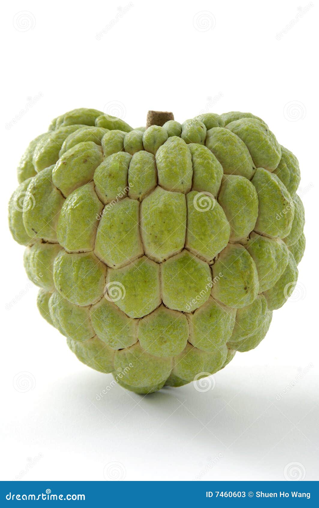 Exotisch fruit stock afbeelding. Image of exotisch, vrucht - 7460603