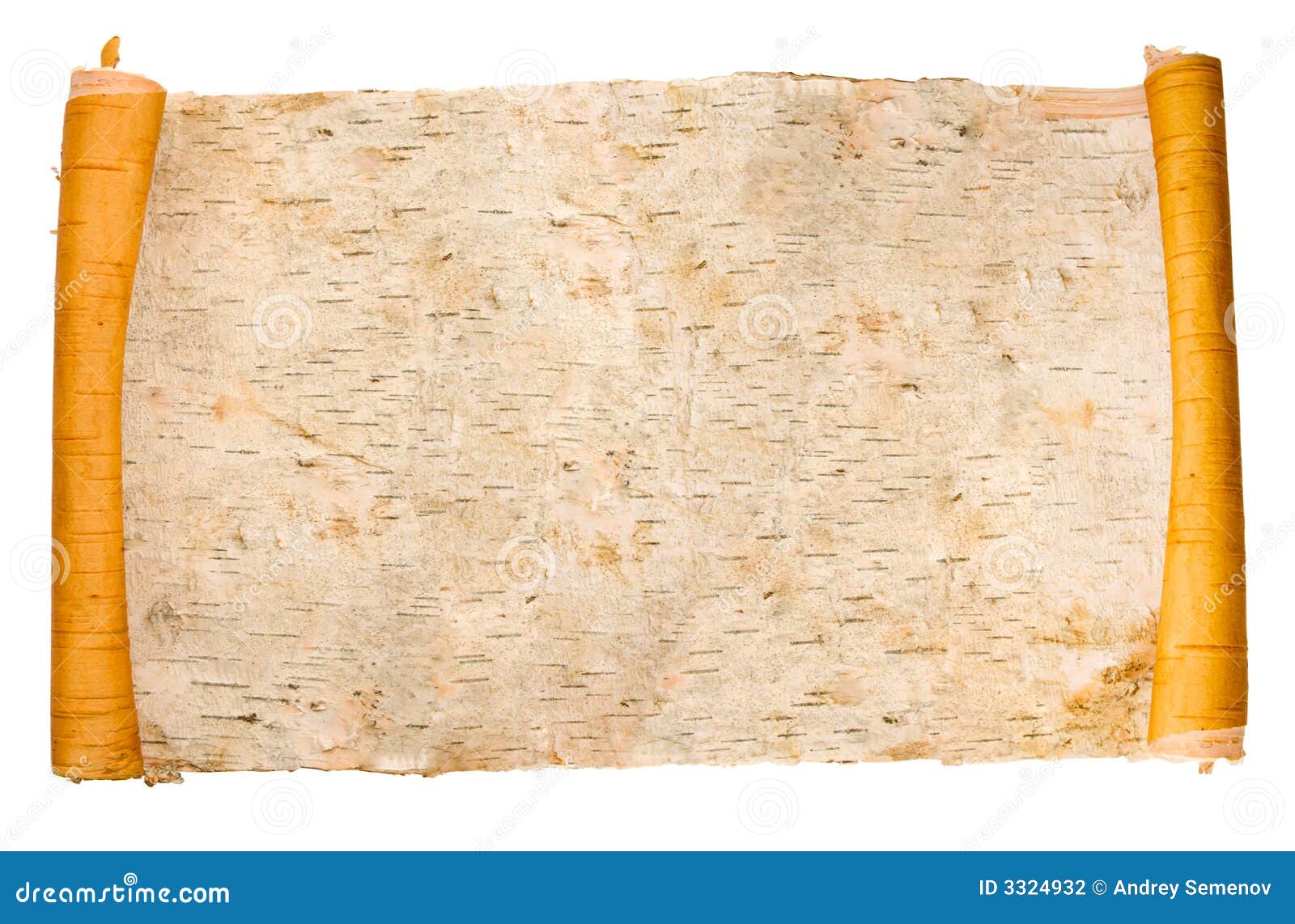 Expanded Birchen Bark Scroll Stock Photo - Image of roll, copyspace ...