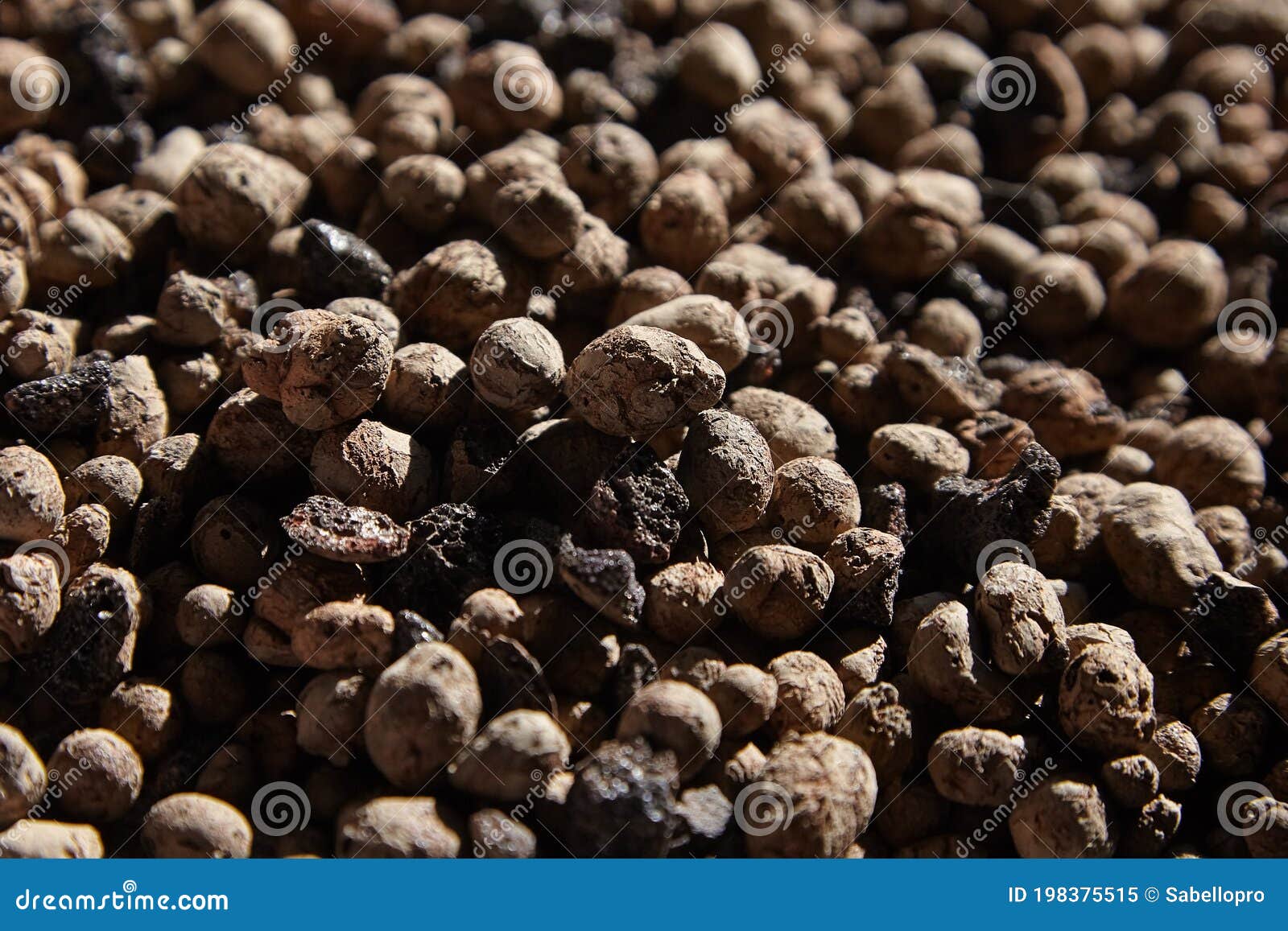 Expanded clay aggregate stock image. Image of closeup - 198375515