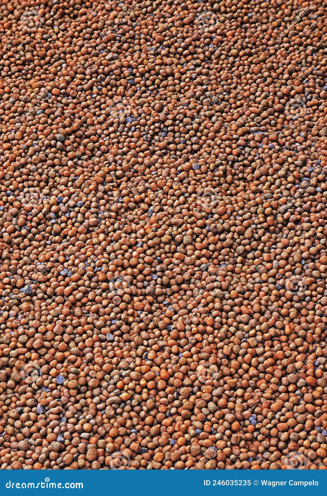 Expanded Clay Aggregate Texture Background Stock Image - Image of ...