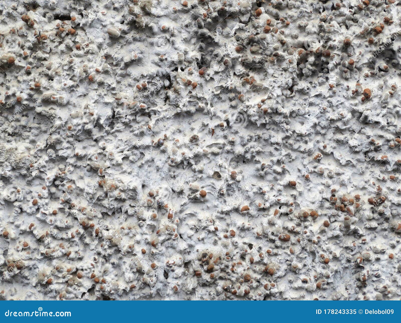 Close Up Expanded Clay Concrete Slab Surface Stock Image - Image of ...