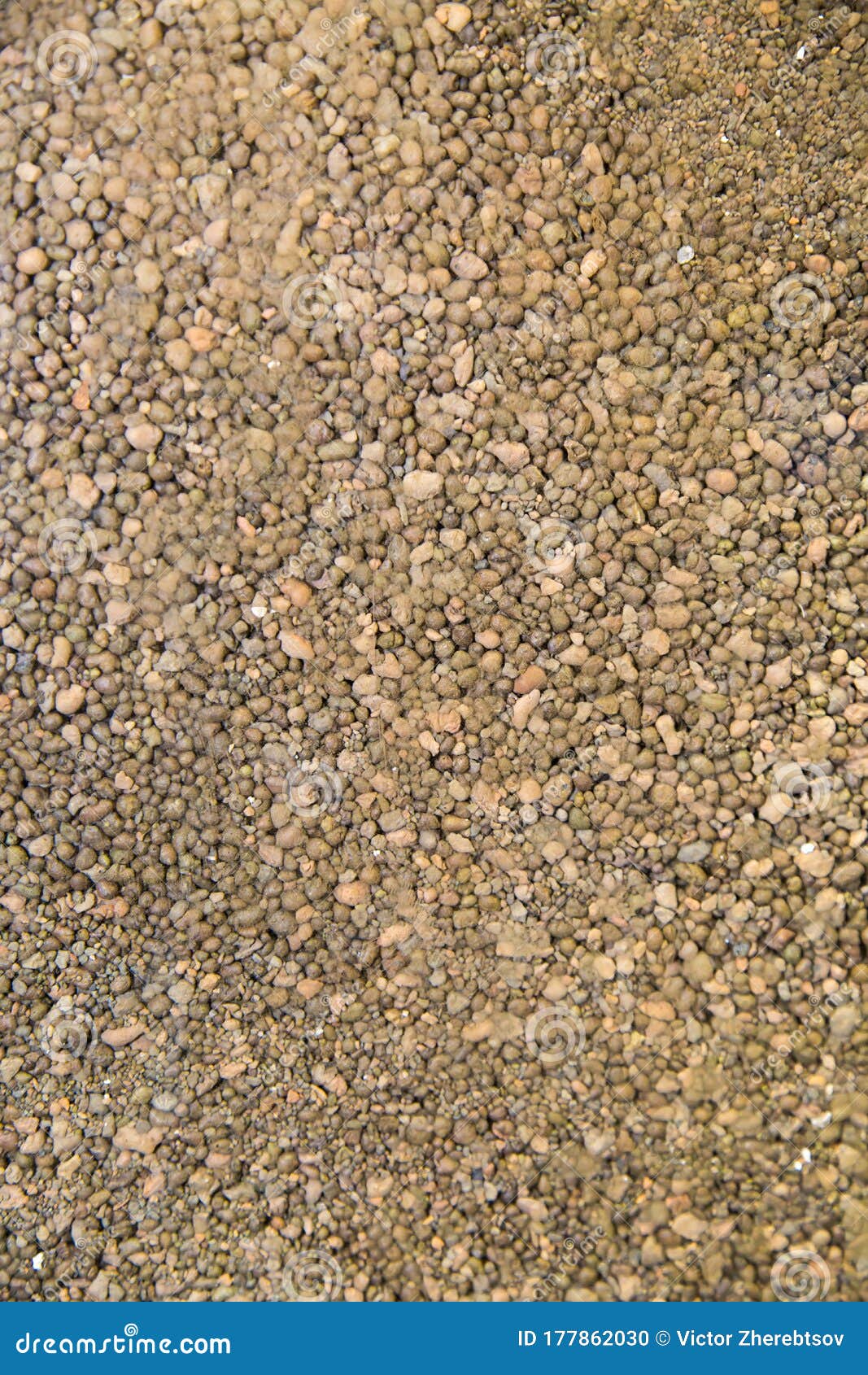 Expanded Clay of a Small Fraction of Brown Color in the Form of Round ...