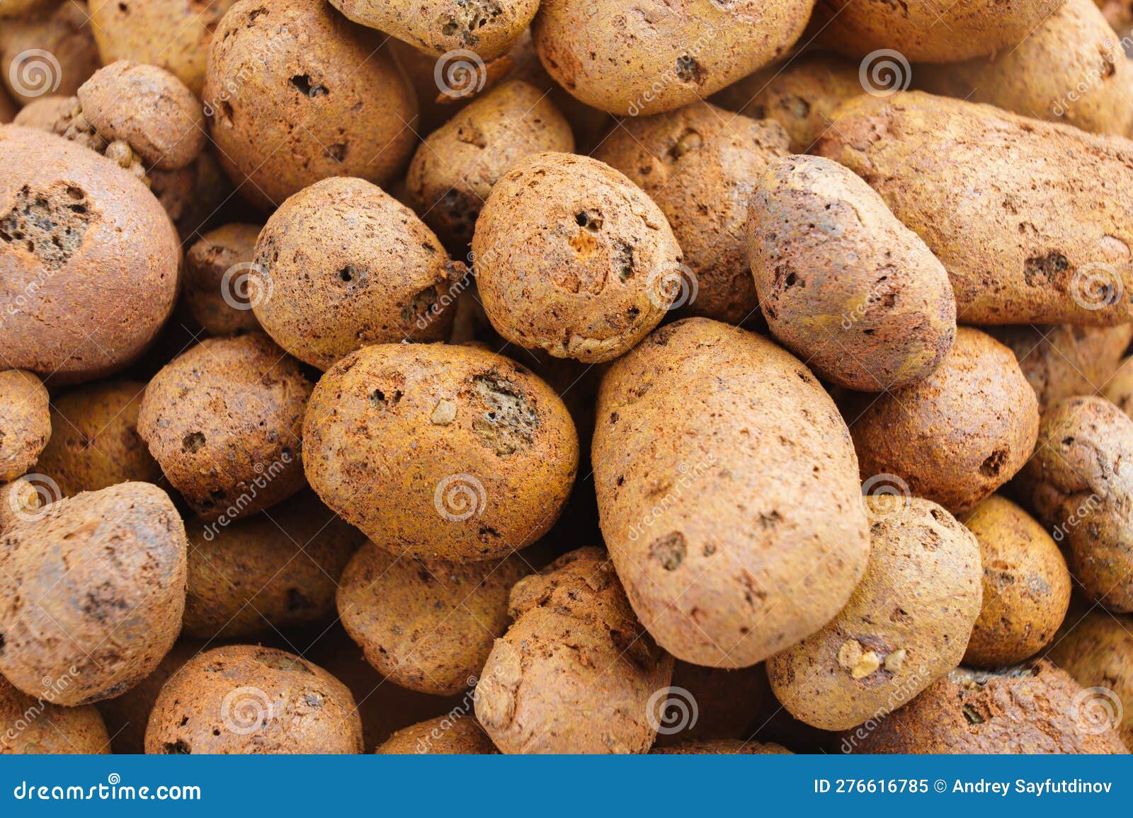 Expanded Clay. Small Lumps of Clay Used in Construction and for Growing ...