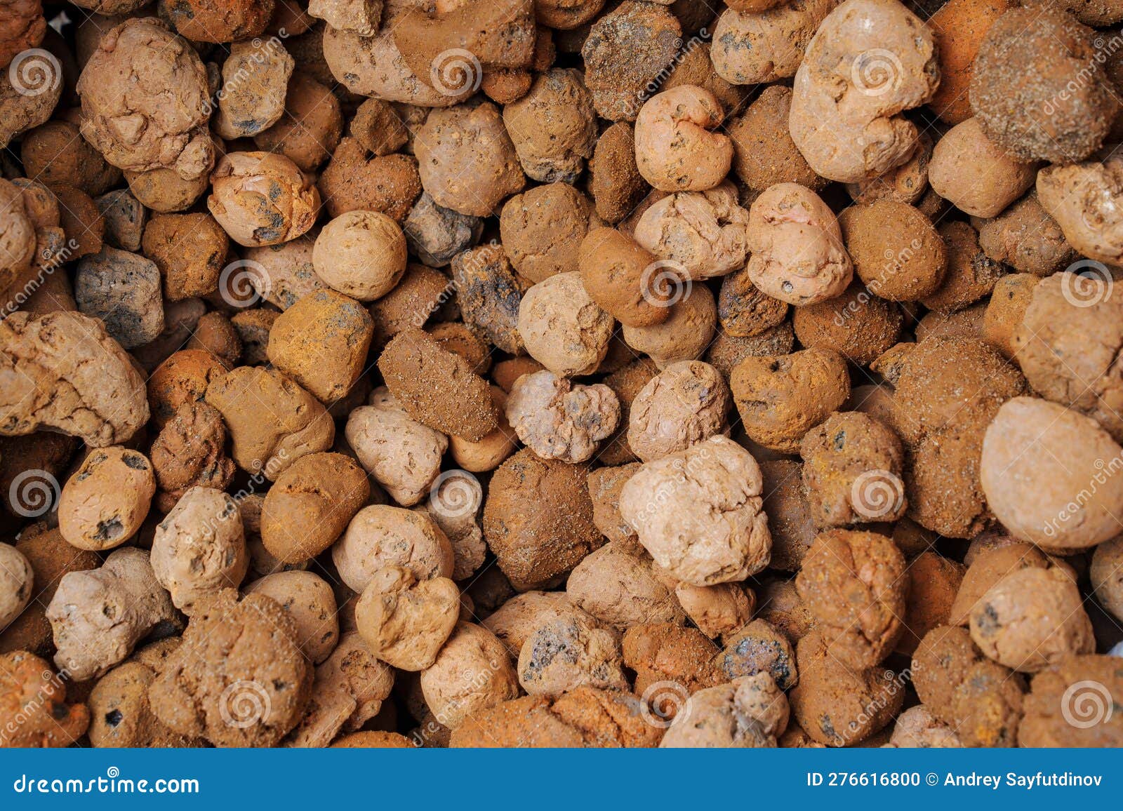 Expanded Clay. Small Lumps of Clay Used in Construction and for Growing ...