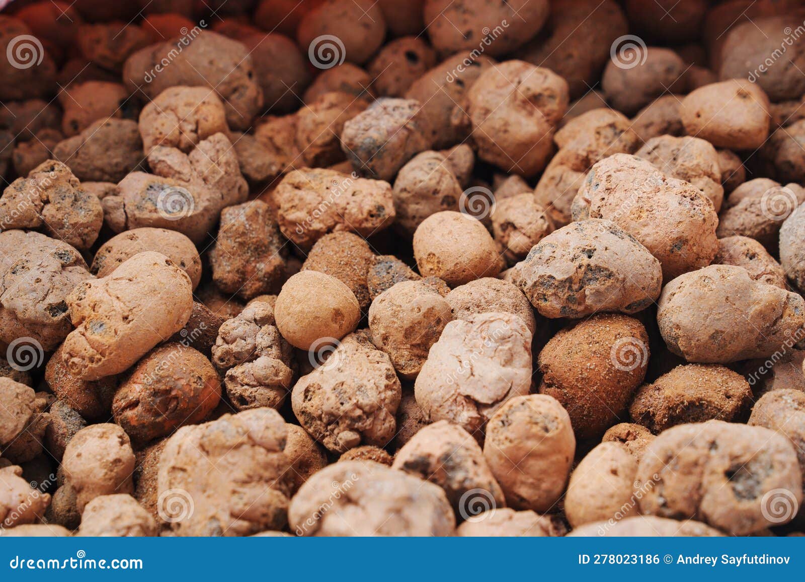 Expanded Clay. Small Lumps of Clay Used in Construction and for Growing ...