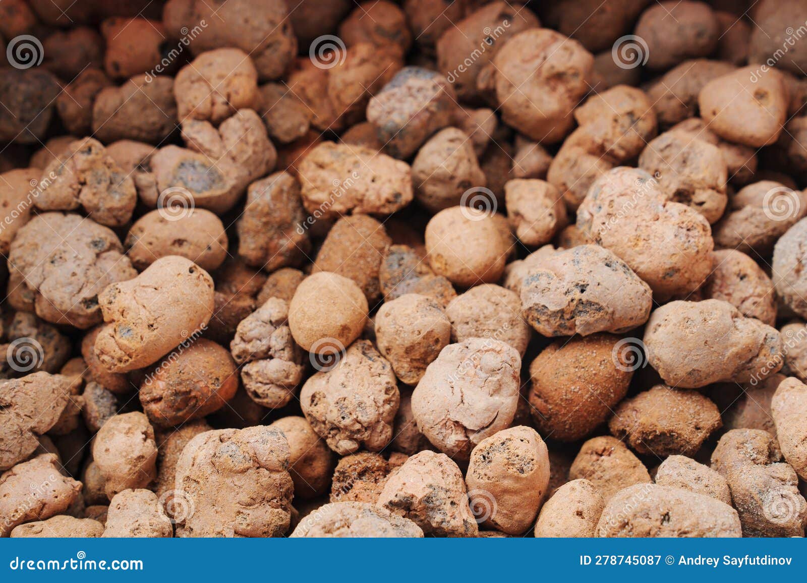 Expanded Clay. Small Lumps of Clay Used in Construction and for Growing ...