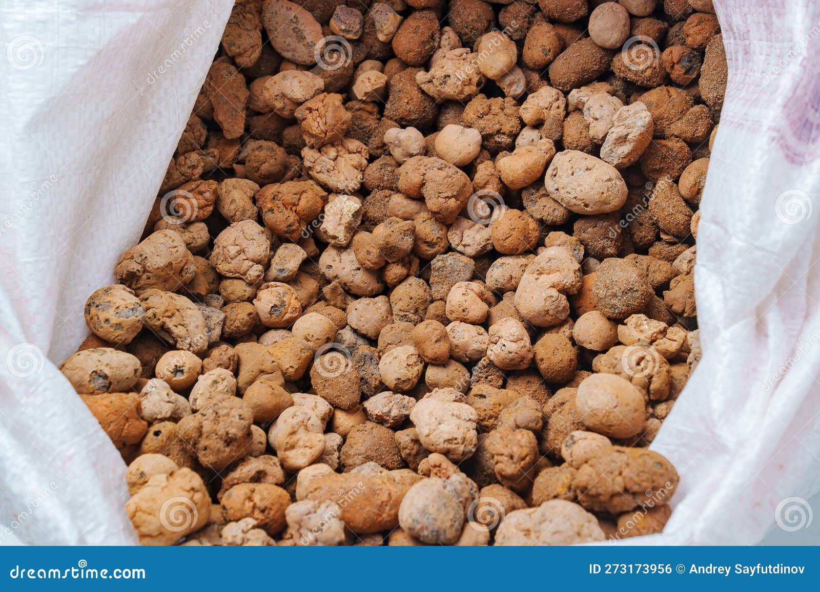 Expanded Clay. Small Lumps of Clay Used in Construction and for Growing ...